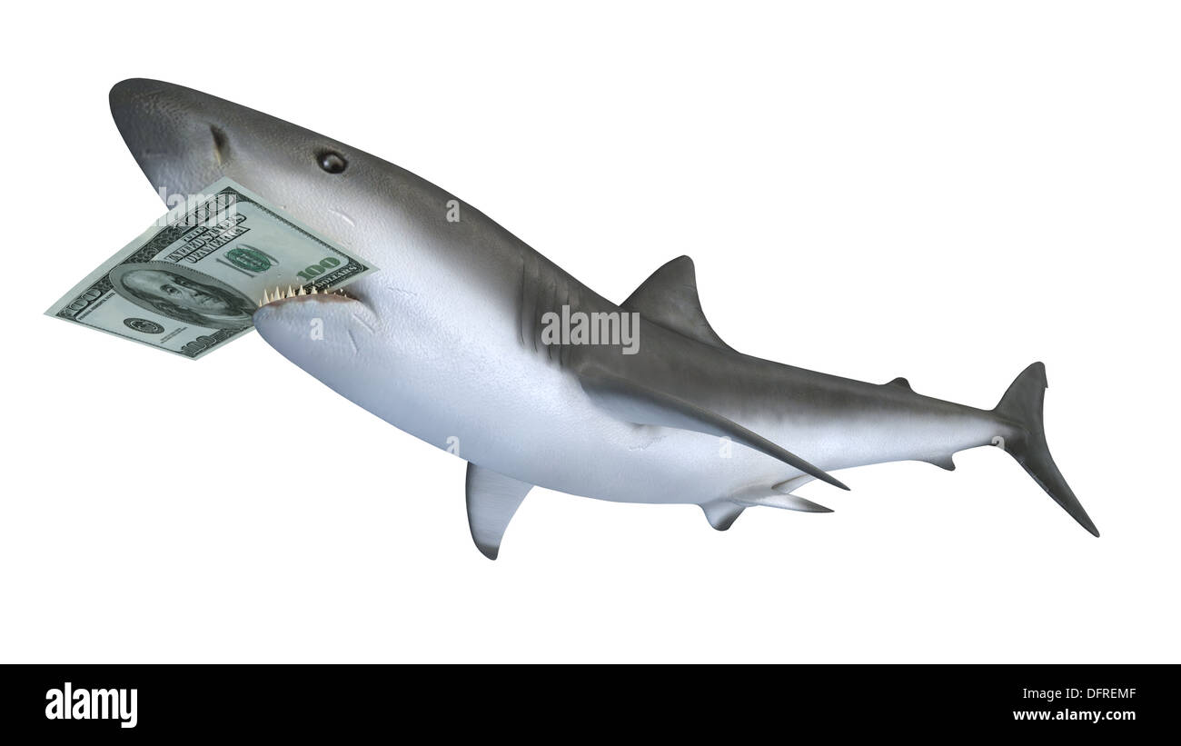 shark biting a dollar banknote, 3d illustration Stock Photo - Alamy
