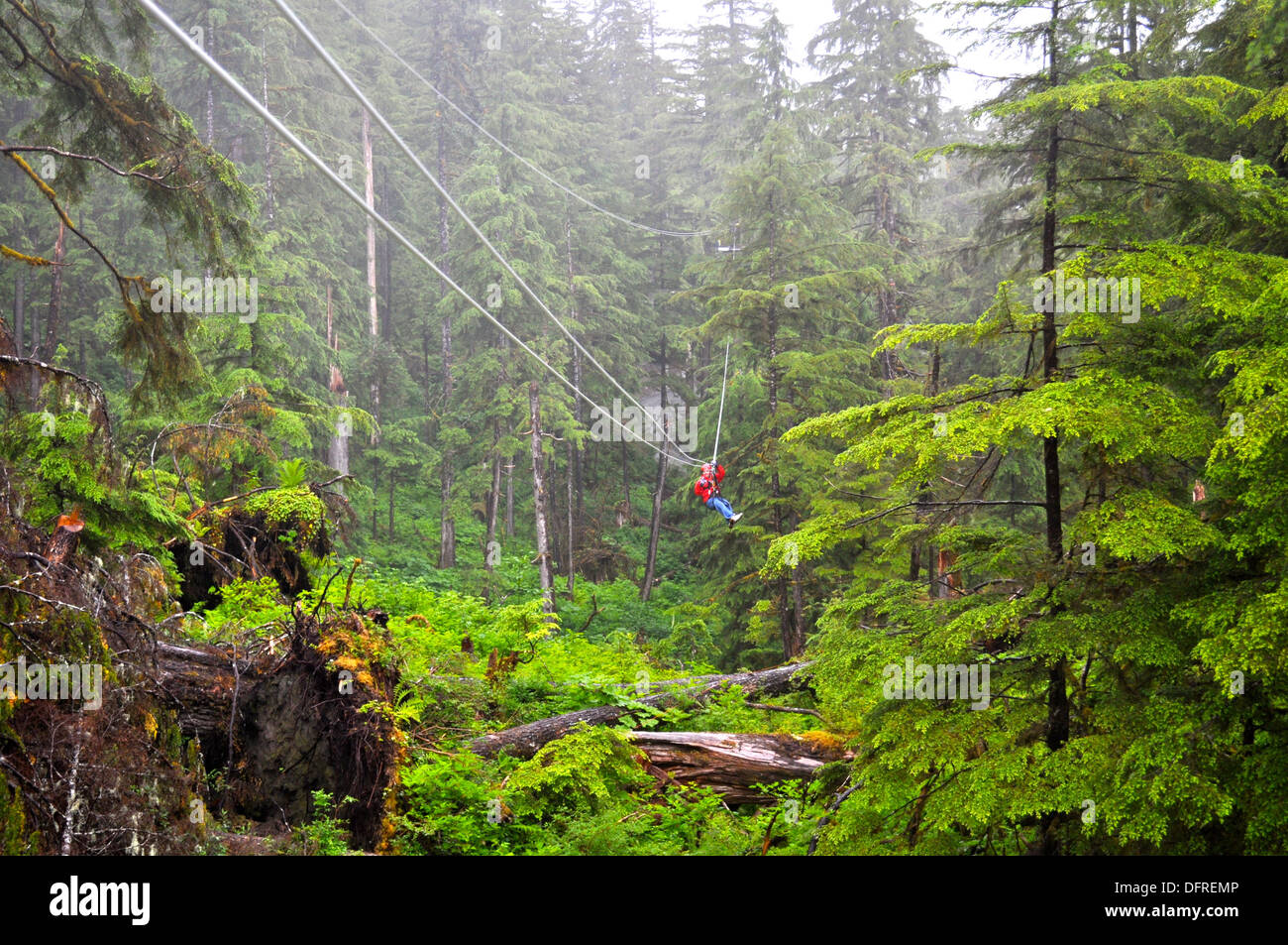 Zipline ketchikan hi-res stock photography and images - Alamy