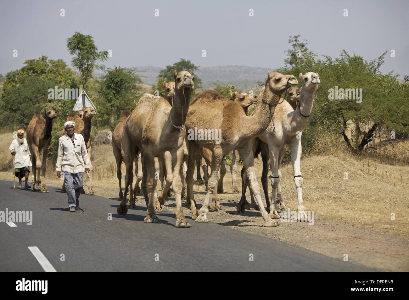 Walking caravan hi-res stock photography and images - Alamy
