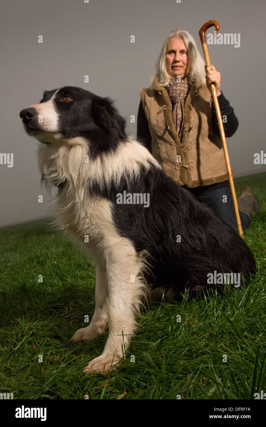 Sheepdogs hi-res stock photography and images - Alamy