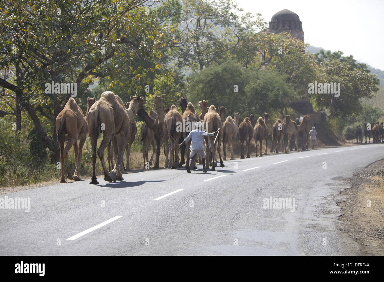 Walking caravan hi-res stock photography and images - Alamy