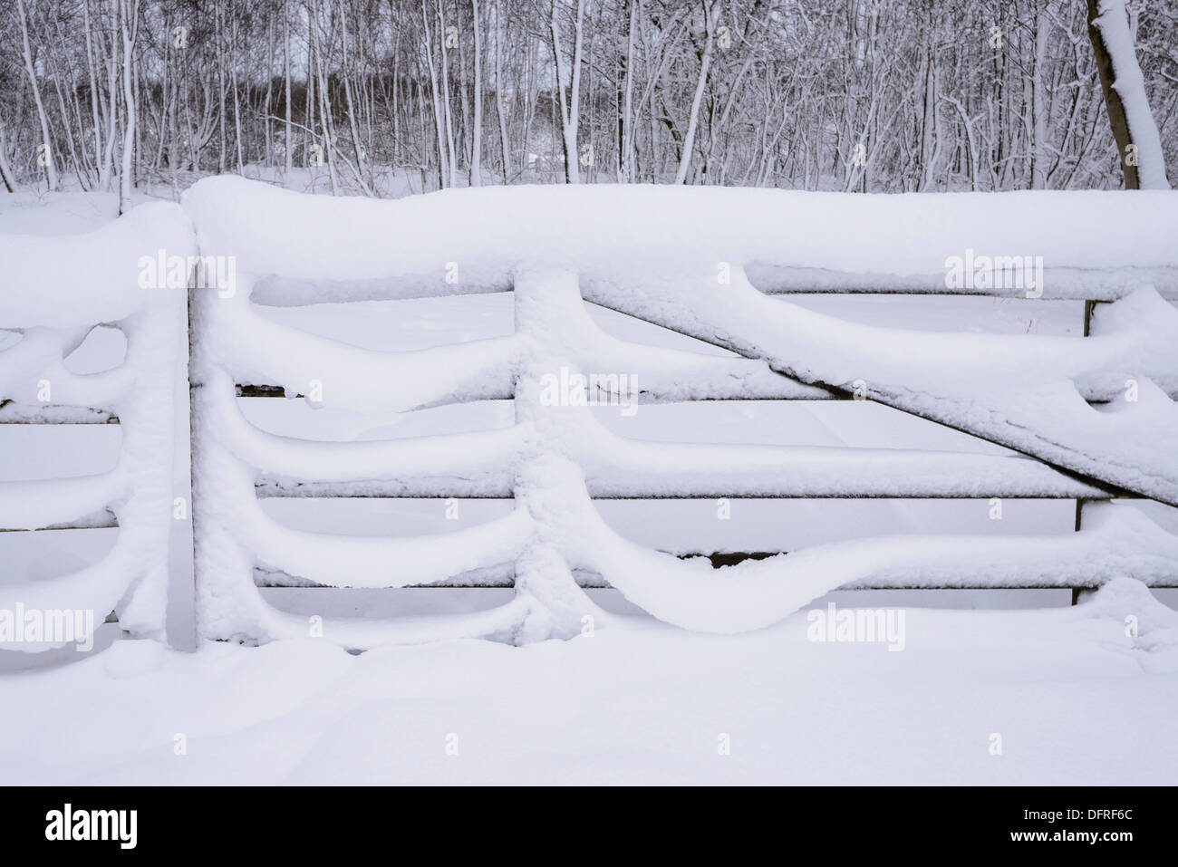 Gate covered in winter snow, Dumfries and Galloway, Scotland Stock ...