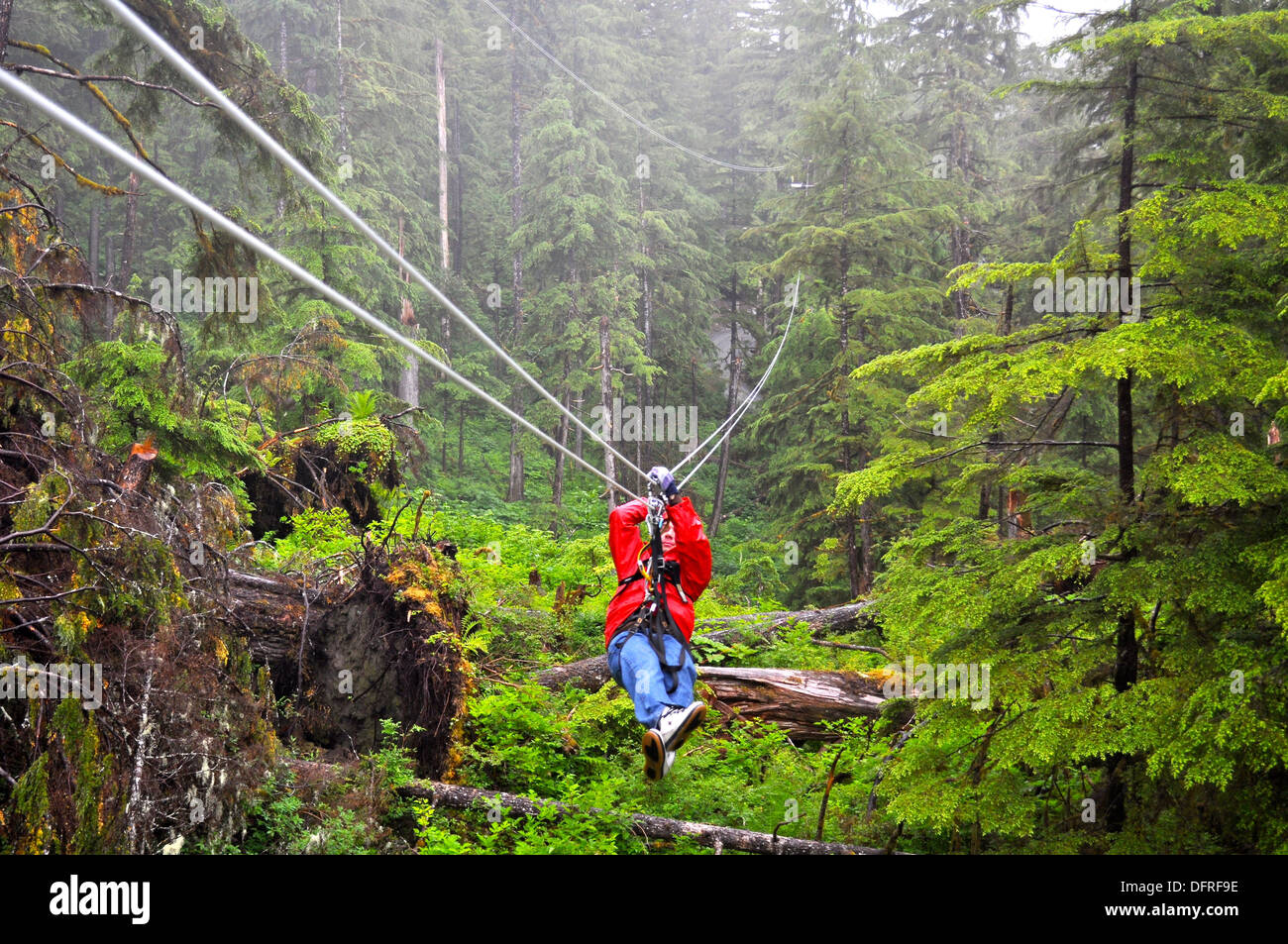 Zipline ketchikan hi-res stock photography and images - Alamy