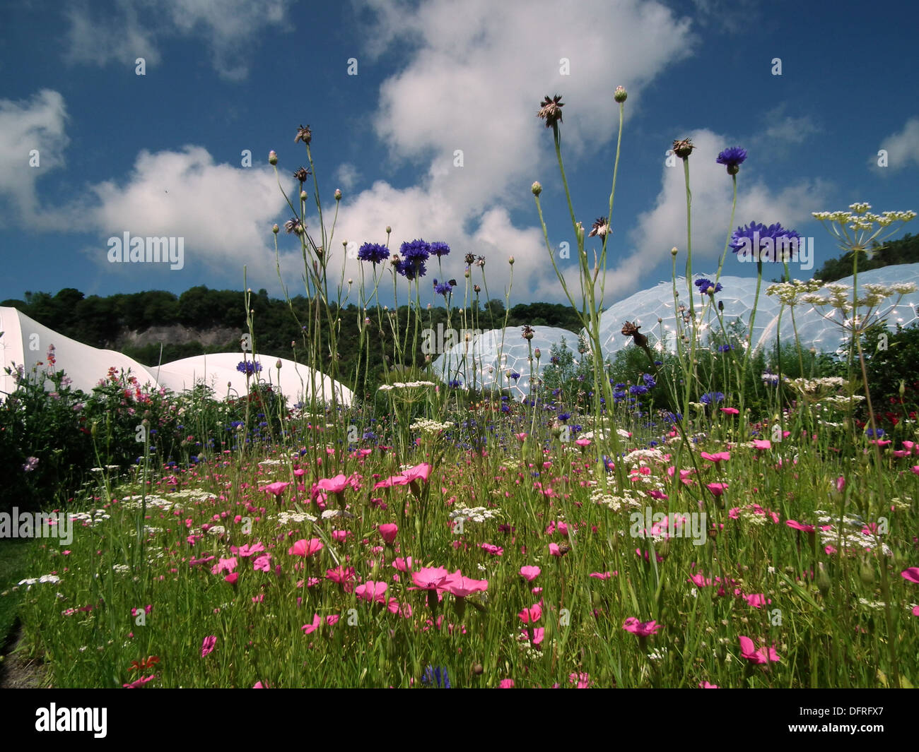 Eden project cornwall hi-res stock photography and images - Alamy