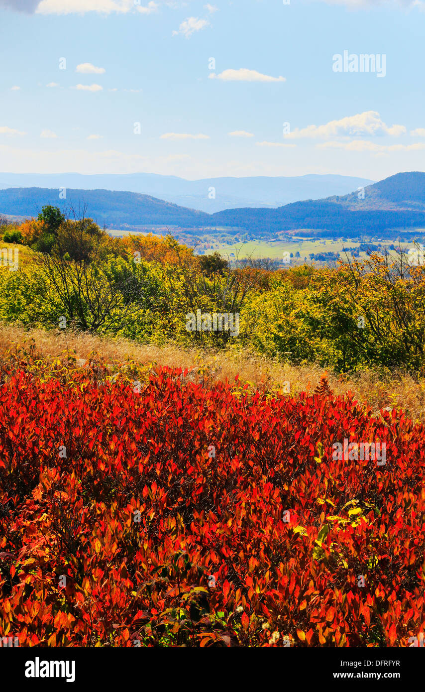 Canaan Valley, Harman Knob, Rocky Ridge Trail, Dolly Sods Wilderness ...