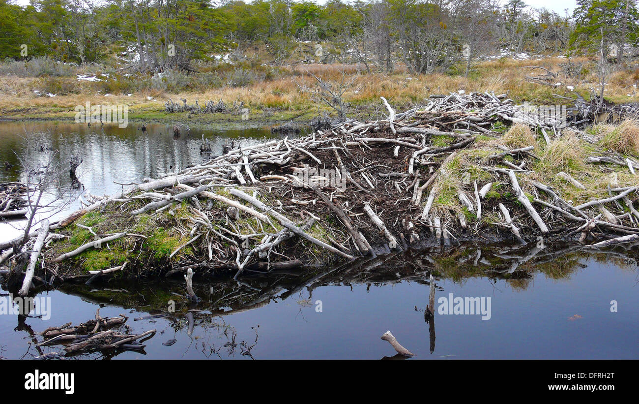 Log structures hi-res stock photography and images - Alamy