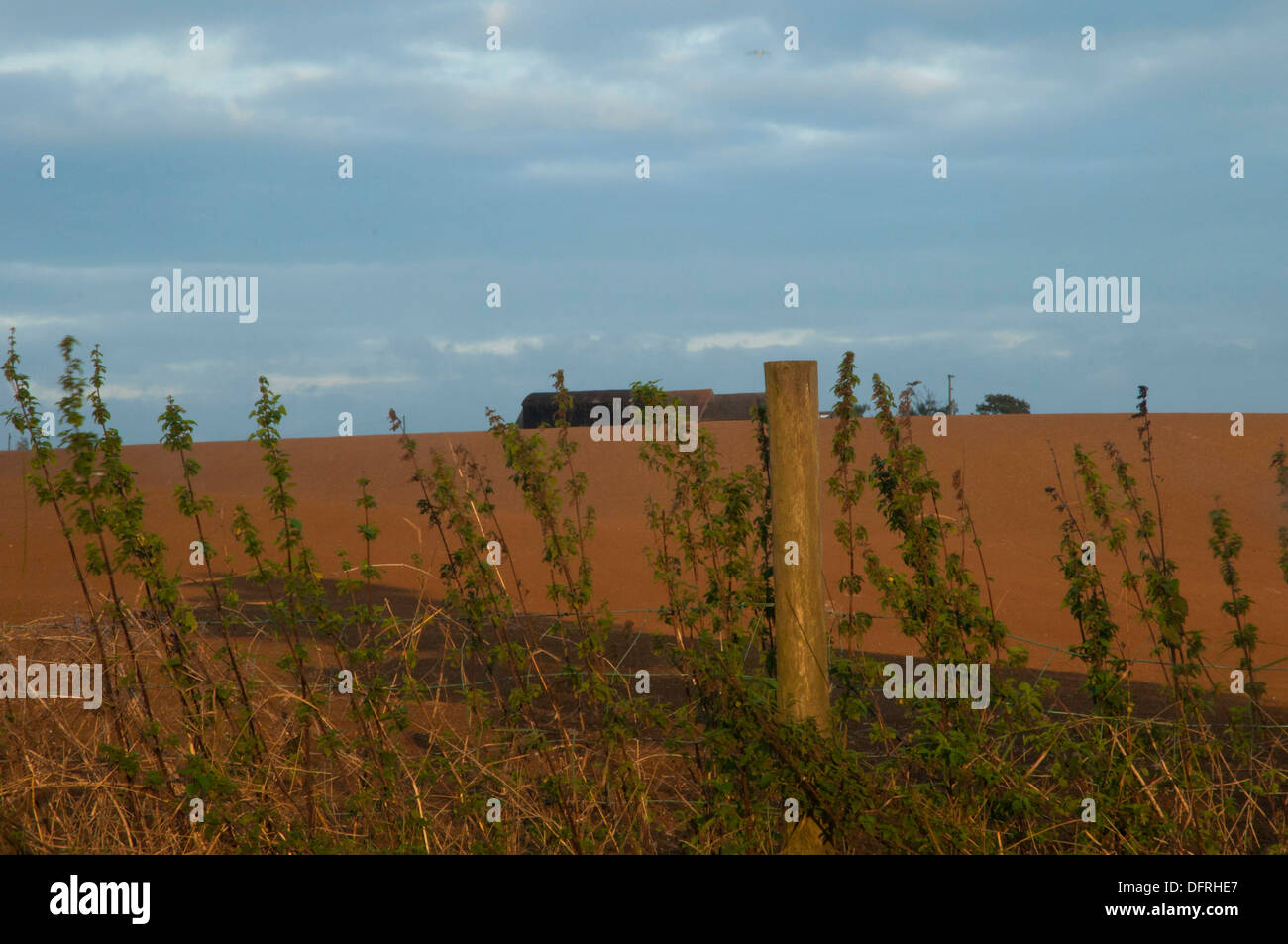 English Countryside in Great Milton Oxfordshire Oxford Uk Stock Photo ...