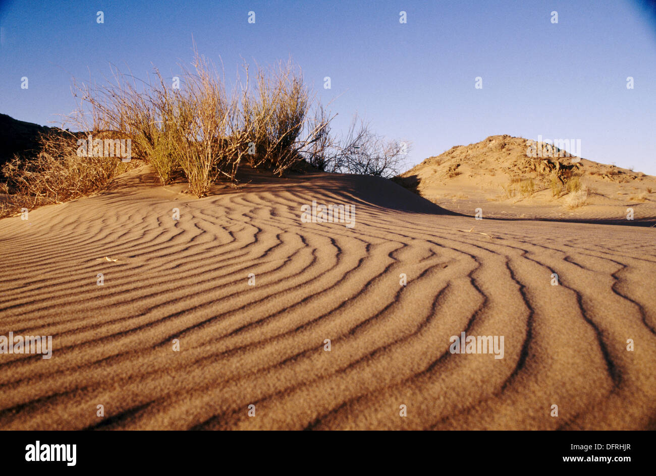 Altar Sonora High Resolution Stock Photography and Images - Alamy
