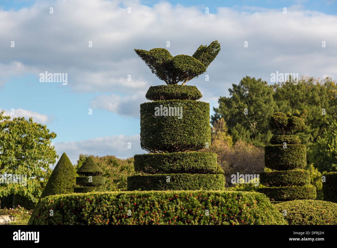 Topiary hi-res stock photography and images - Alamy