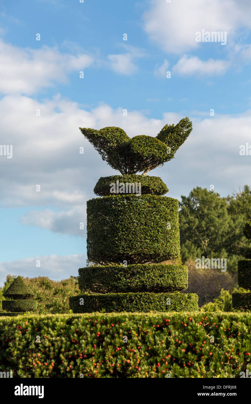 topiary bird, Longwood Gardens, Kennett Square, Pennsylvania, USA Stock ...