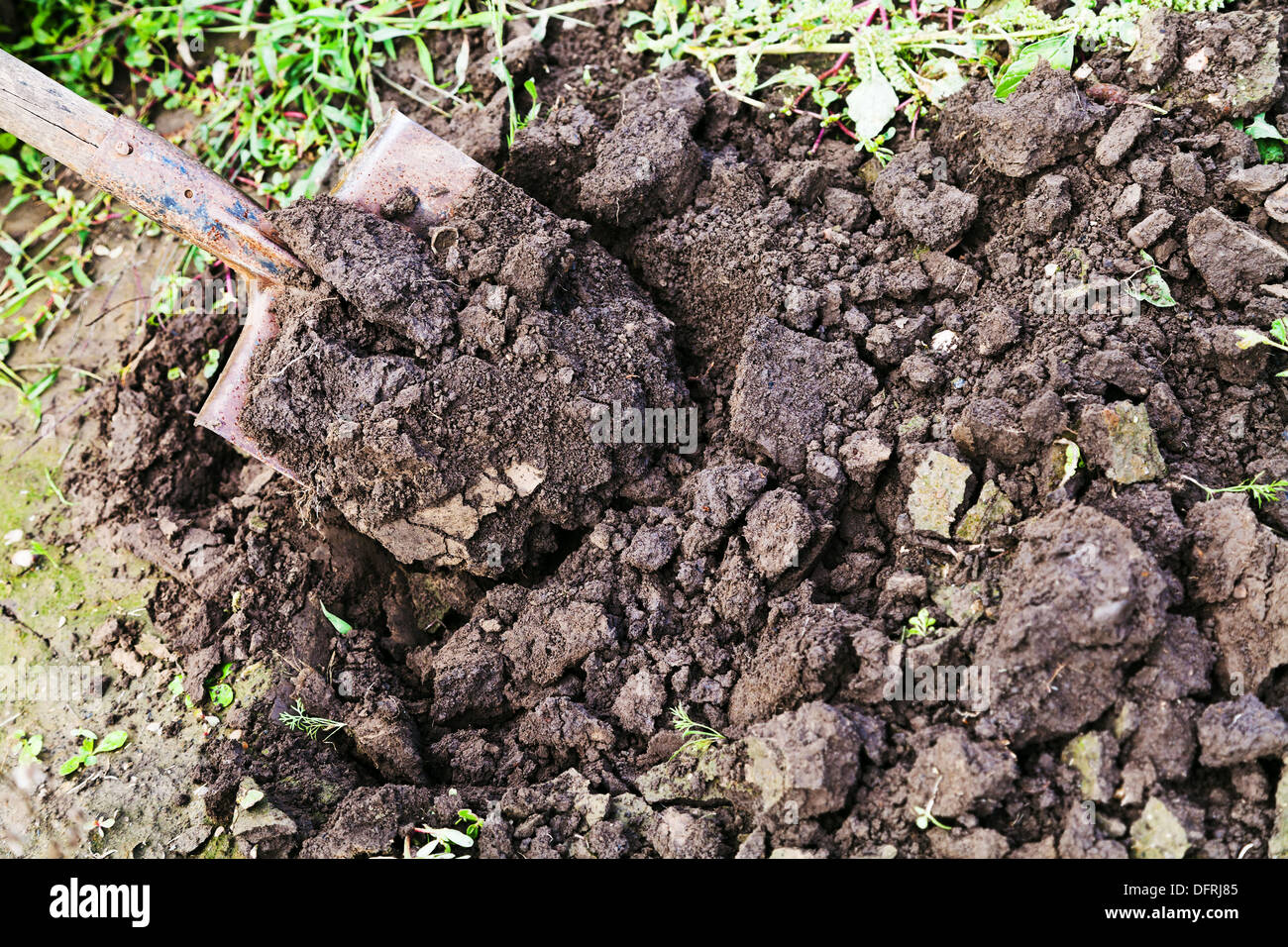 digging up field with spade Stock Photo - Alamy