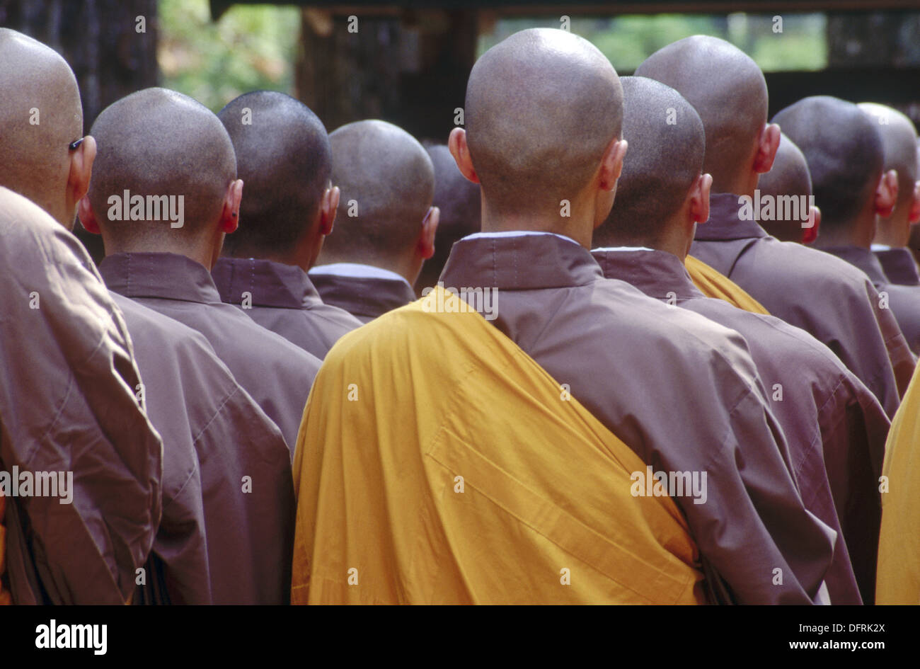 Back of monk hi-res stock photography and images - Alamy
