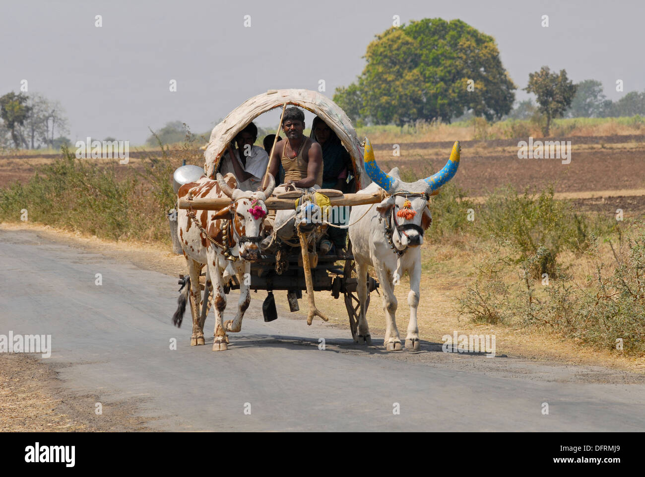 Bullock Cart Wheel High Resolution Stock Photography and Images - Alamy
