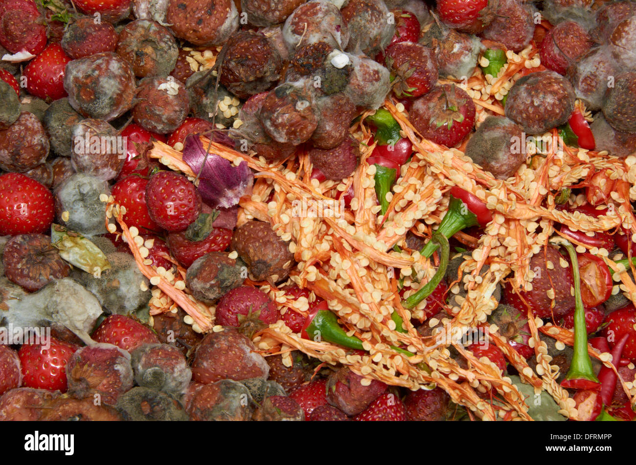 Waste Seeds Stock Photos & Waste Seeds Stock Images - Alamy