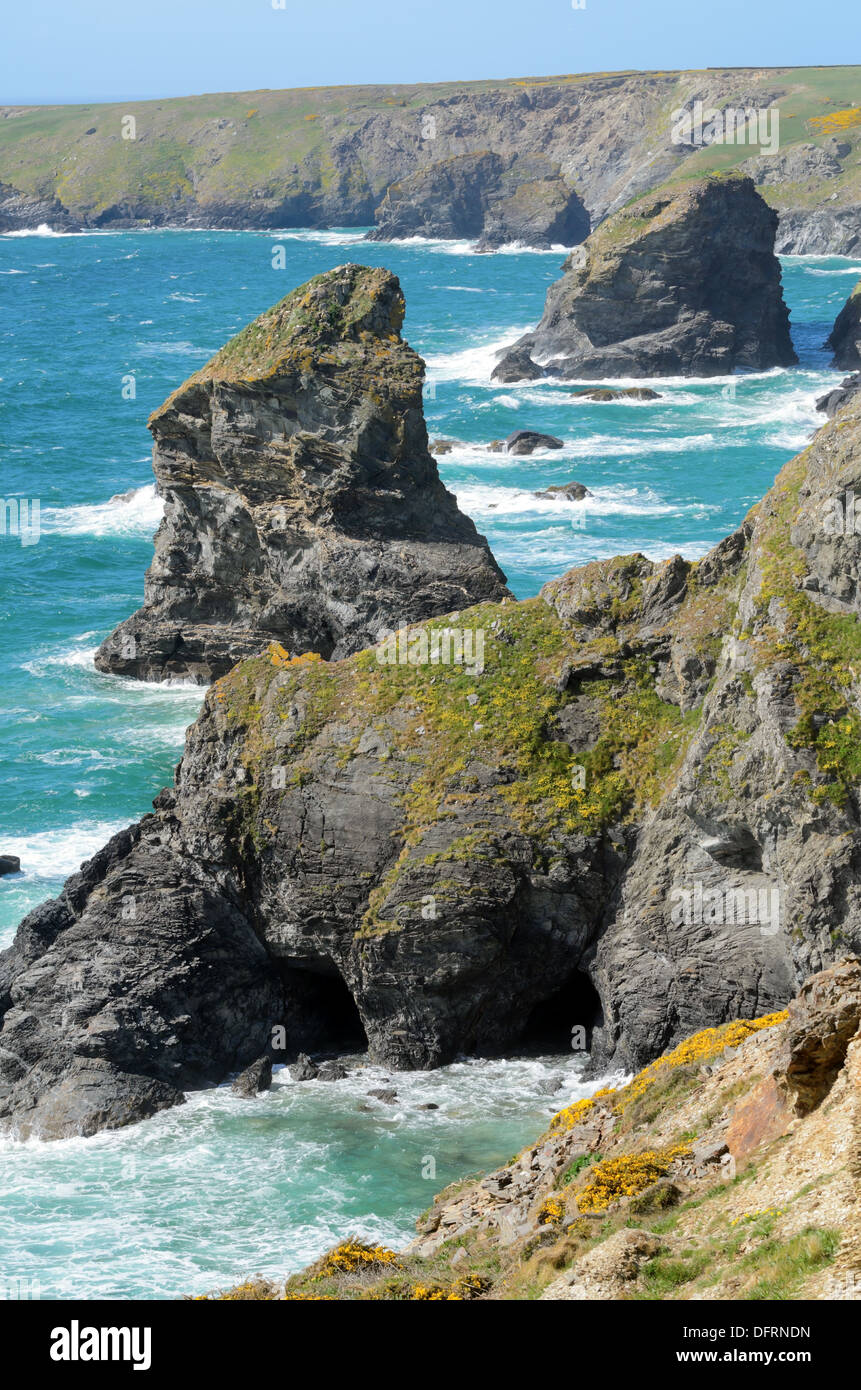 Bedruthan Steps and Samaritan Island viewed from Pendarves Point ...