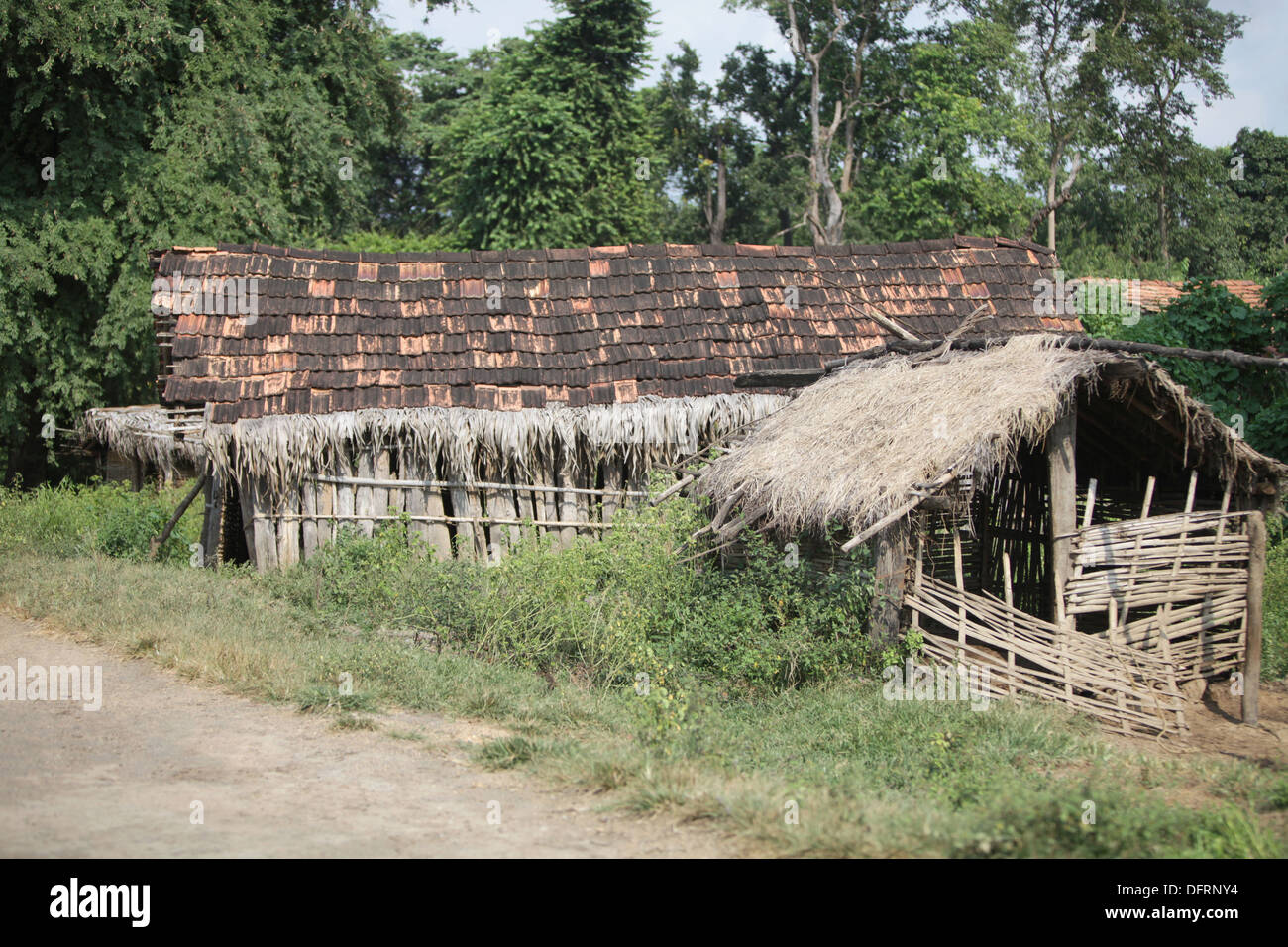 Gond Village Stock Photos & Gond Village Stock Images - Alamy