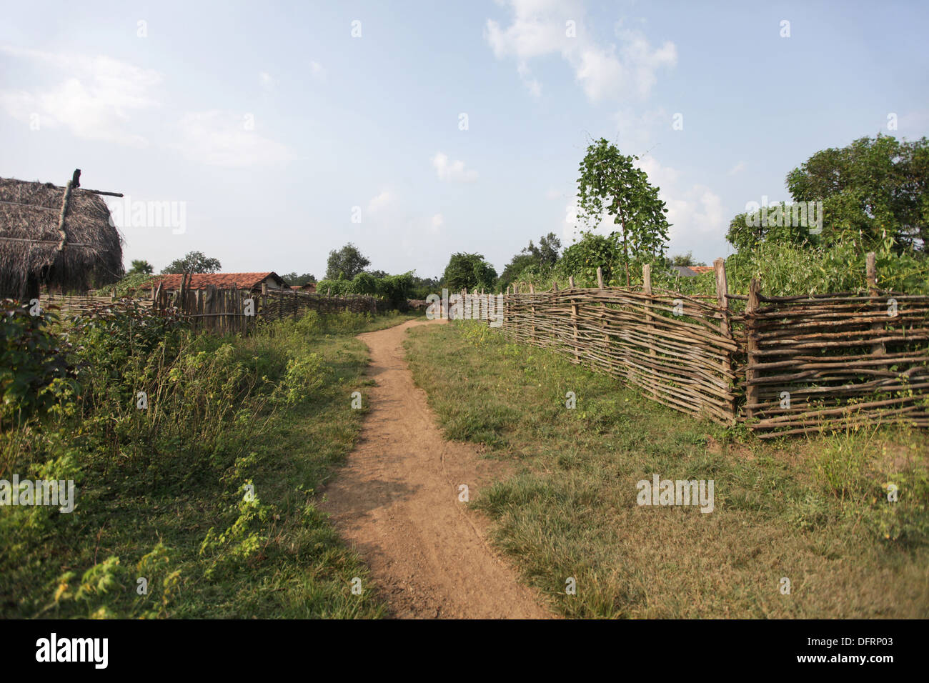 A road leading to Madia tribal village, Bhamragad, Maharashtra, India ...
