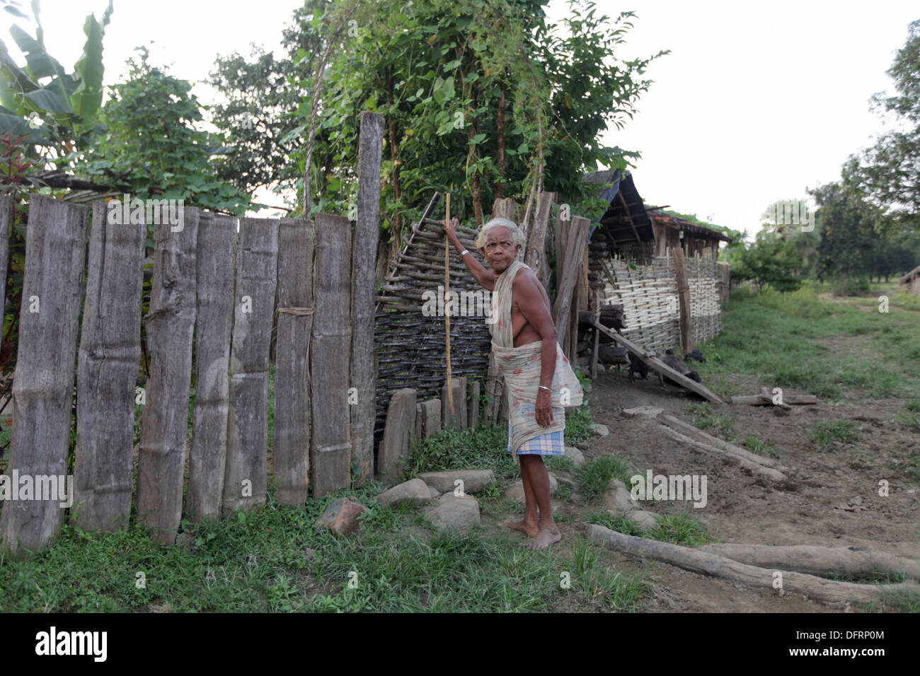 Portrait of a Madia tribe woman, Bhamragad, Maharashtra, India Stock ...