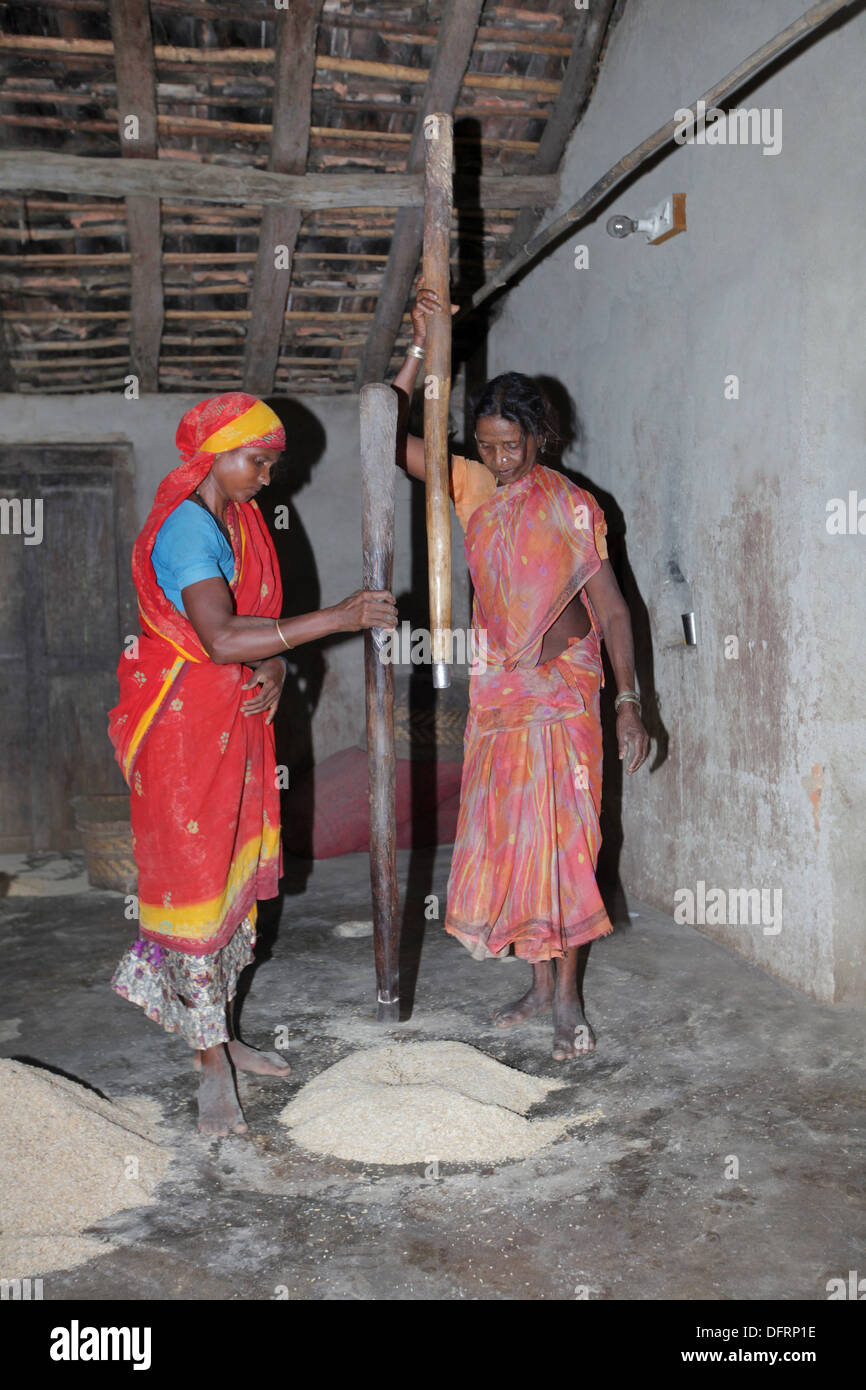Tribal woman husking grains in the house, Madia tribe, Bhamragad ...