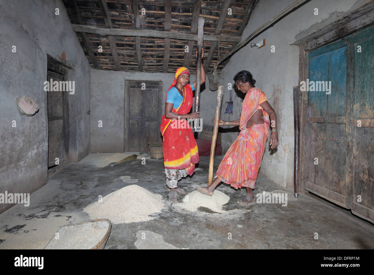 Tribal woman husking grains in the house, Madia tribe, Bhamragad ...