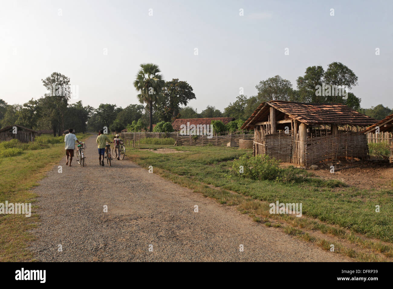 Madia are one of the endogamous Gond tribes living in Chandrapur ...