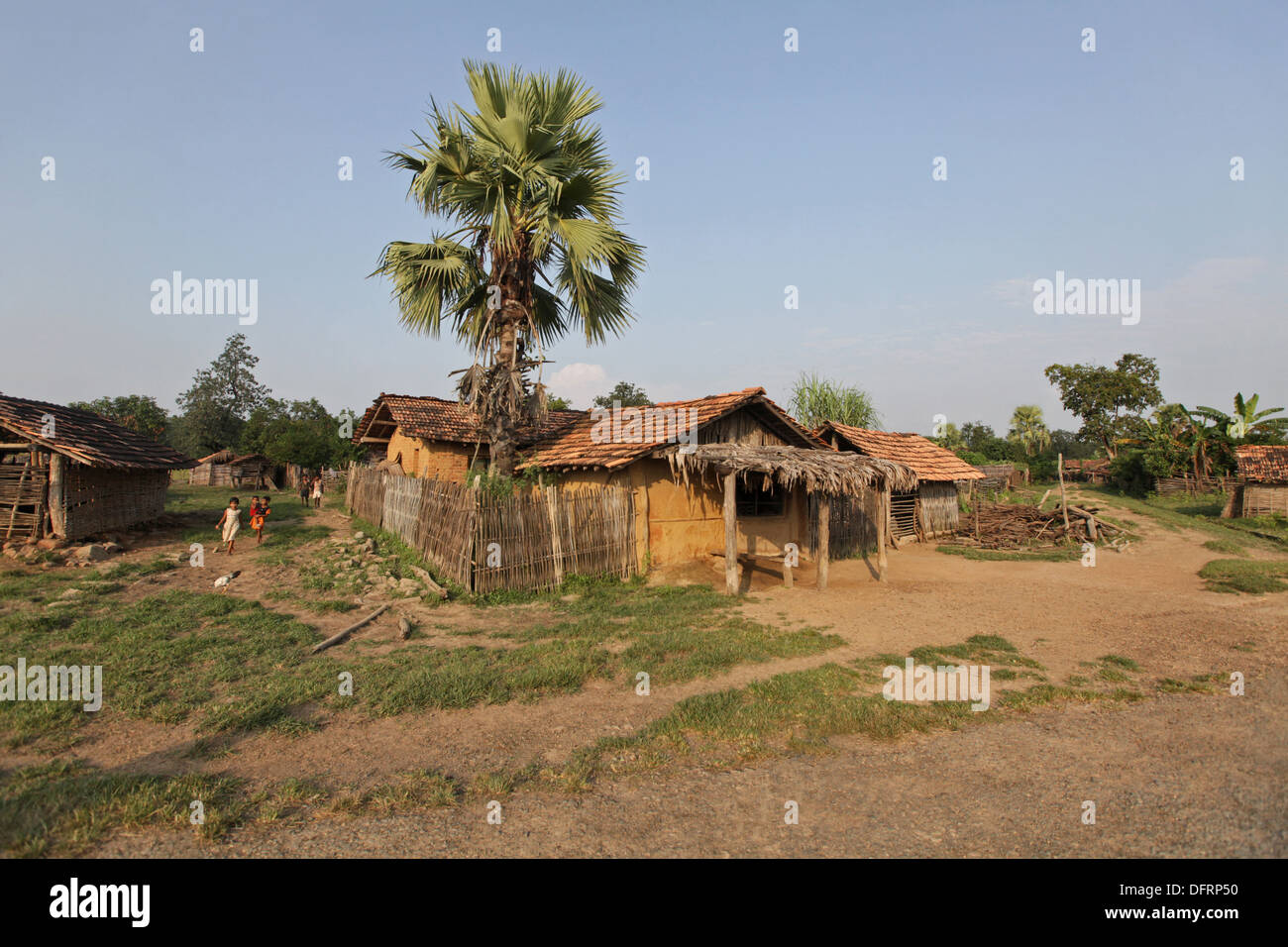 A view of a typical village, Madia tribe, Bhamragad, Maharashtra, India ...