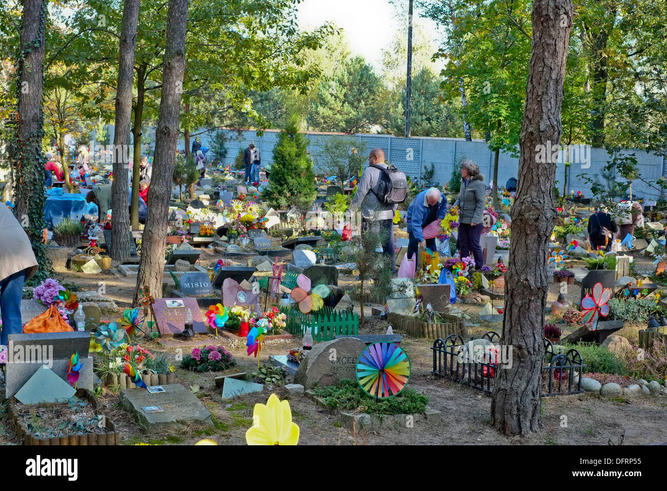 Animal cemetery pet hi-res stock photography and images - Alamy