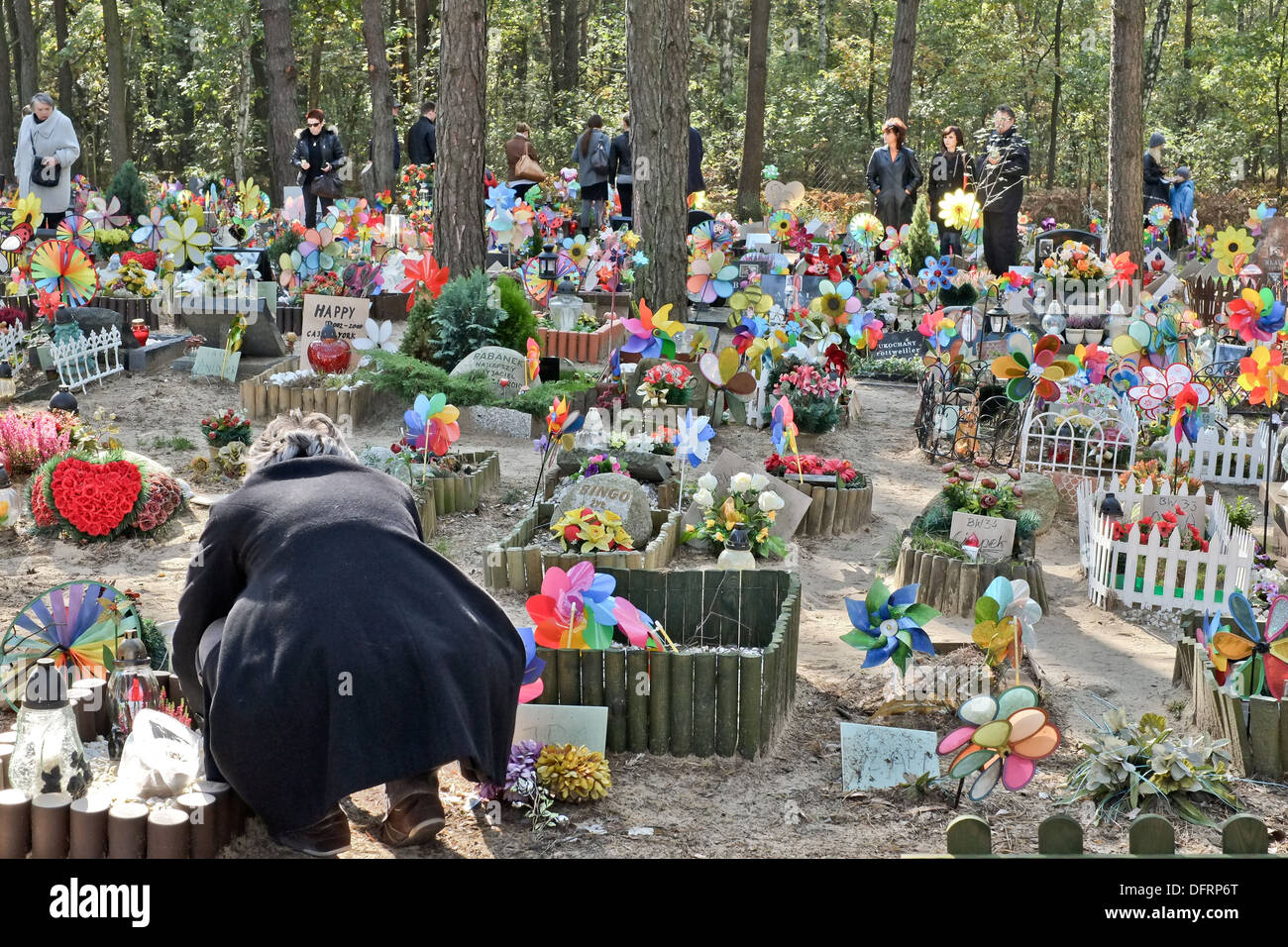 Dog grave hi-res stock photography and images - Alamy