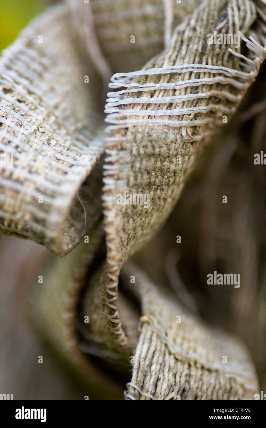 Interlacing of threads hi-res stock photography and images - Alamy