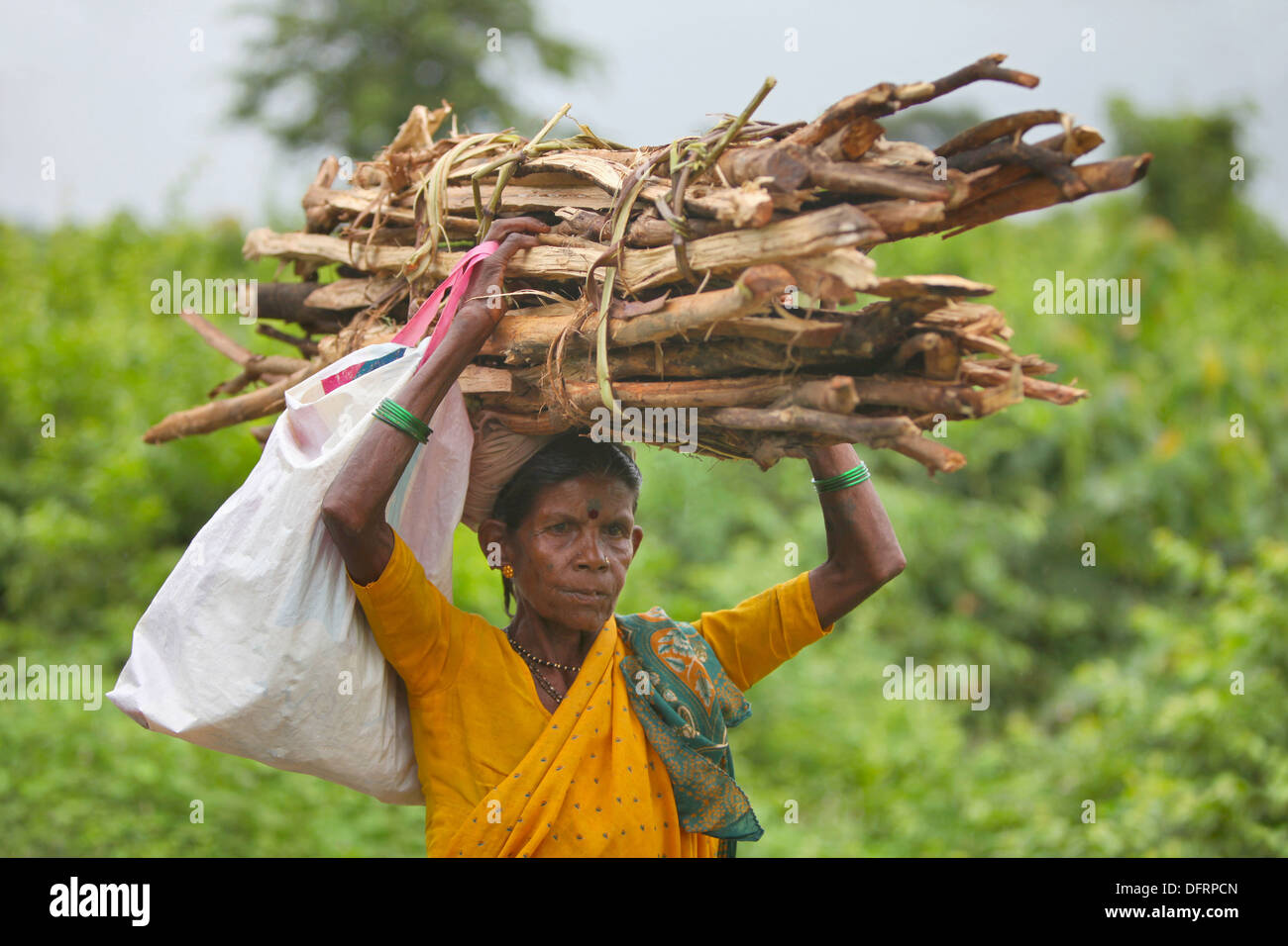 Katkari tribal woman carrying firewood on her head, Maharashtra, India ...