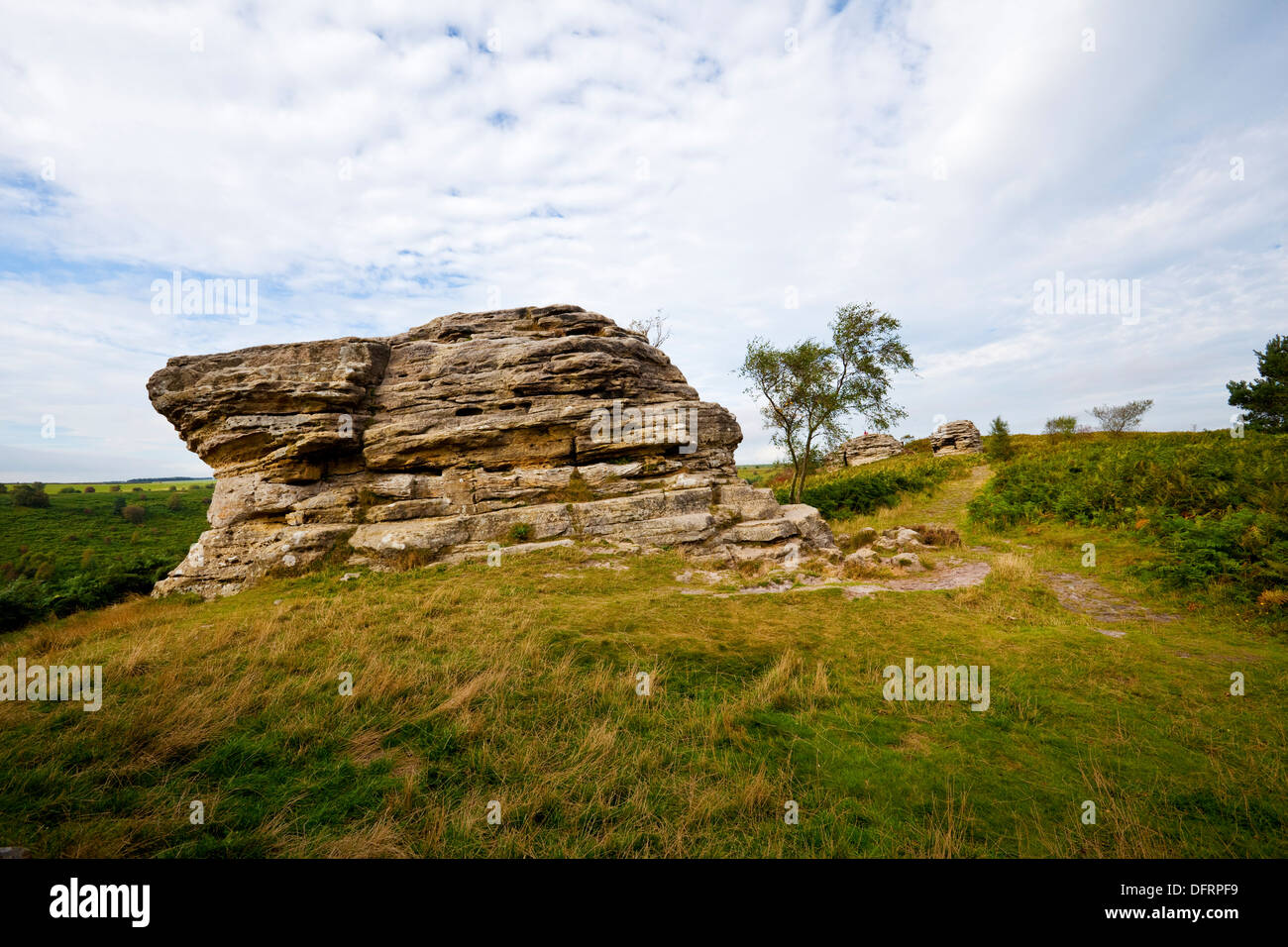 Dalby forest hi-res stock photography and images - Alamy