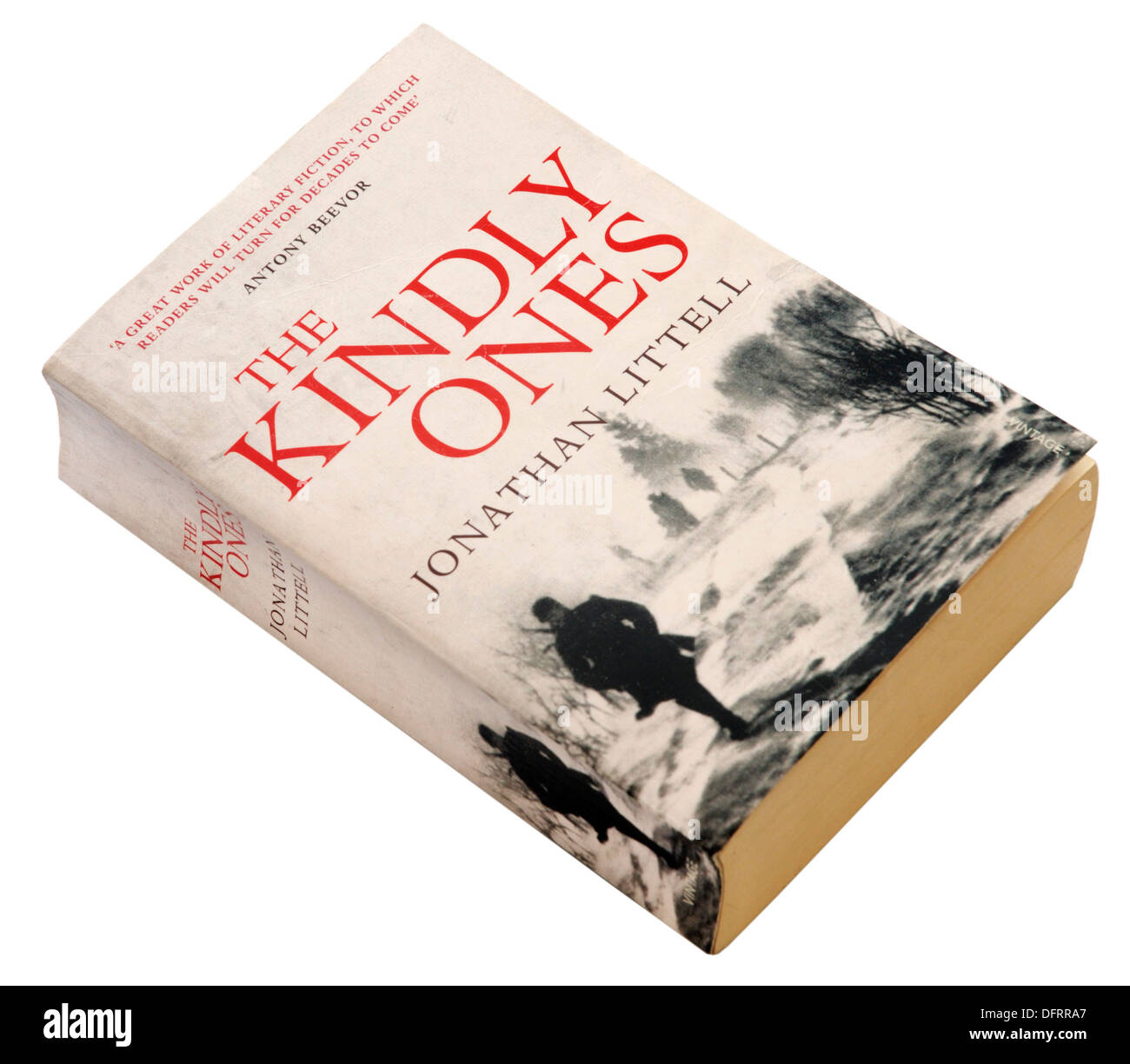 Kindly hi-res stock photography and images - Alamy