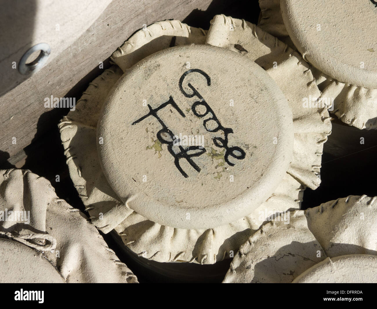 Fat goose hi-res stock photography and images - Alamy