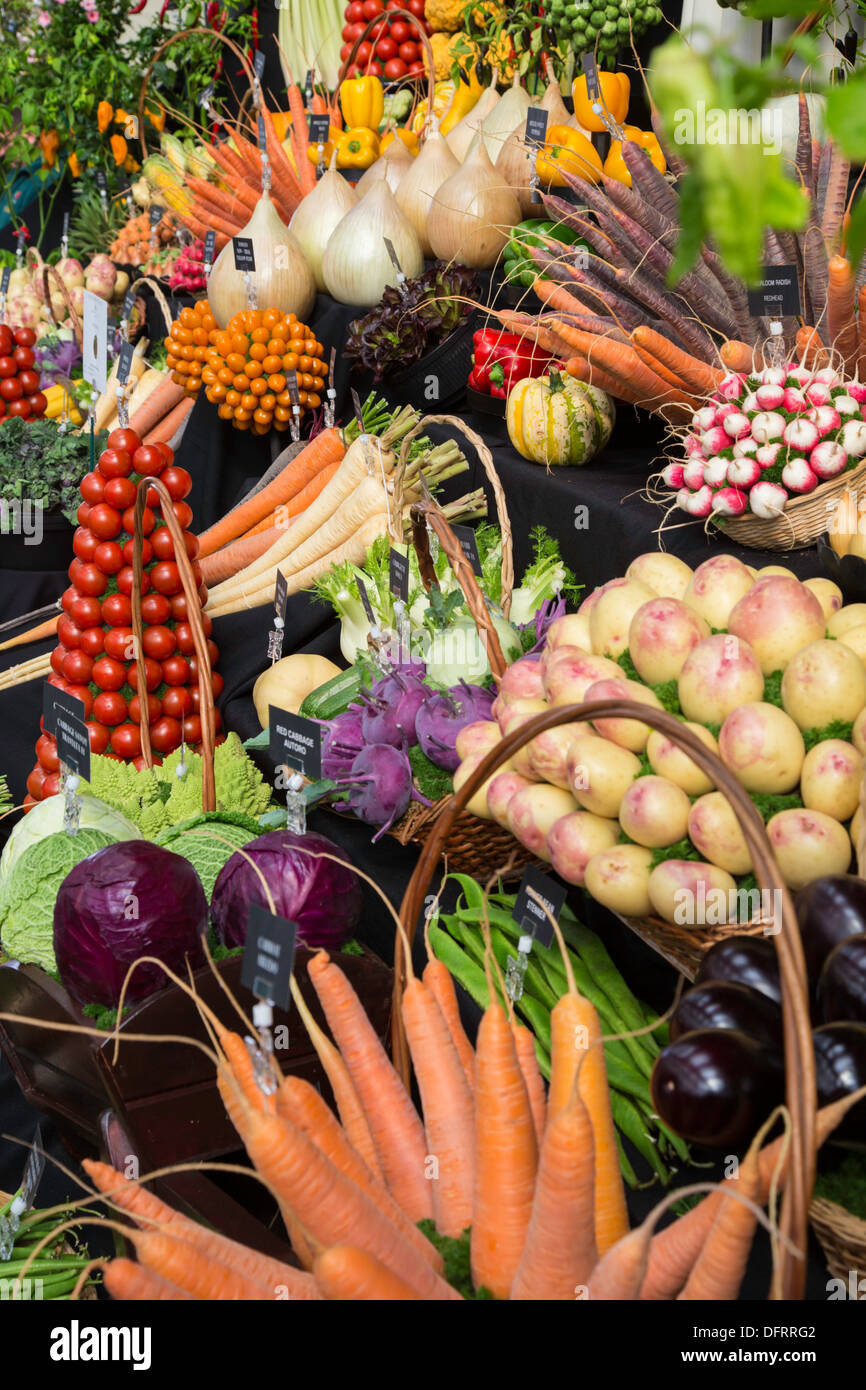 Vegetables on display at the Three Counties Autumn Show at Malvern ...
