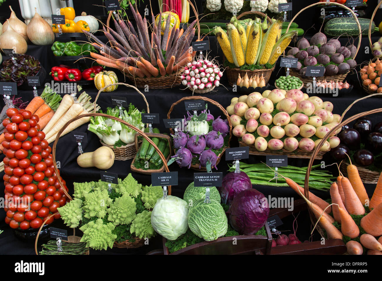Vegetables on display at the Three Counties Autumn Show at Malvern ...