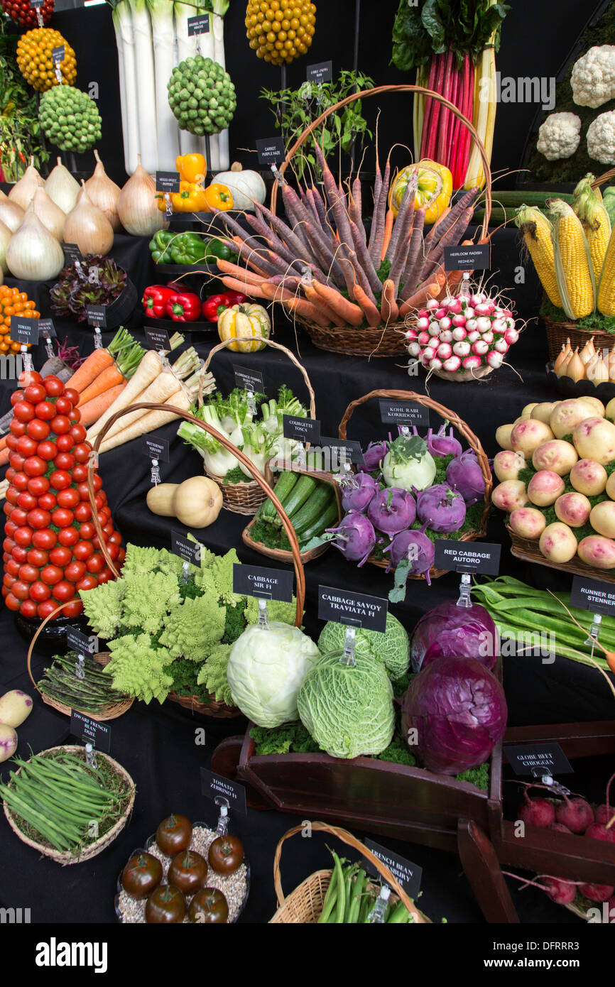 Vegetables on display at the Three Counties Autumn Show at Malvern ...