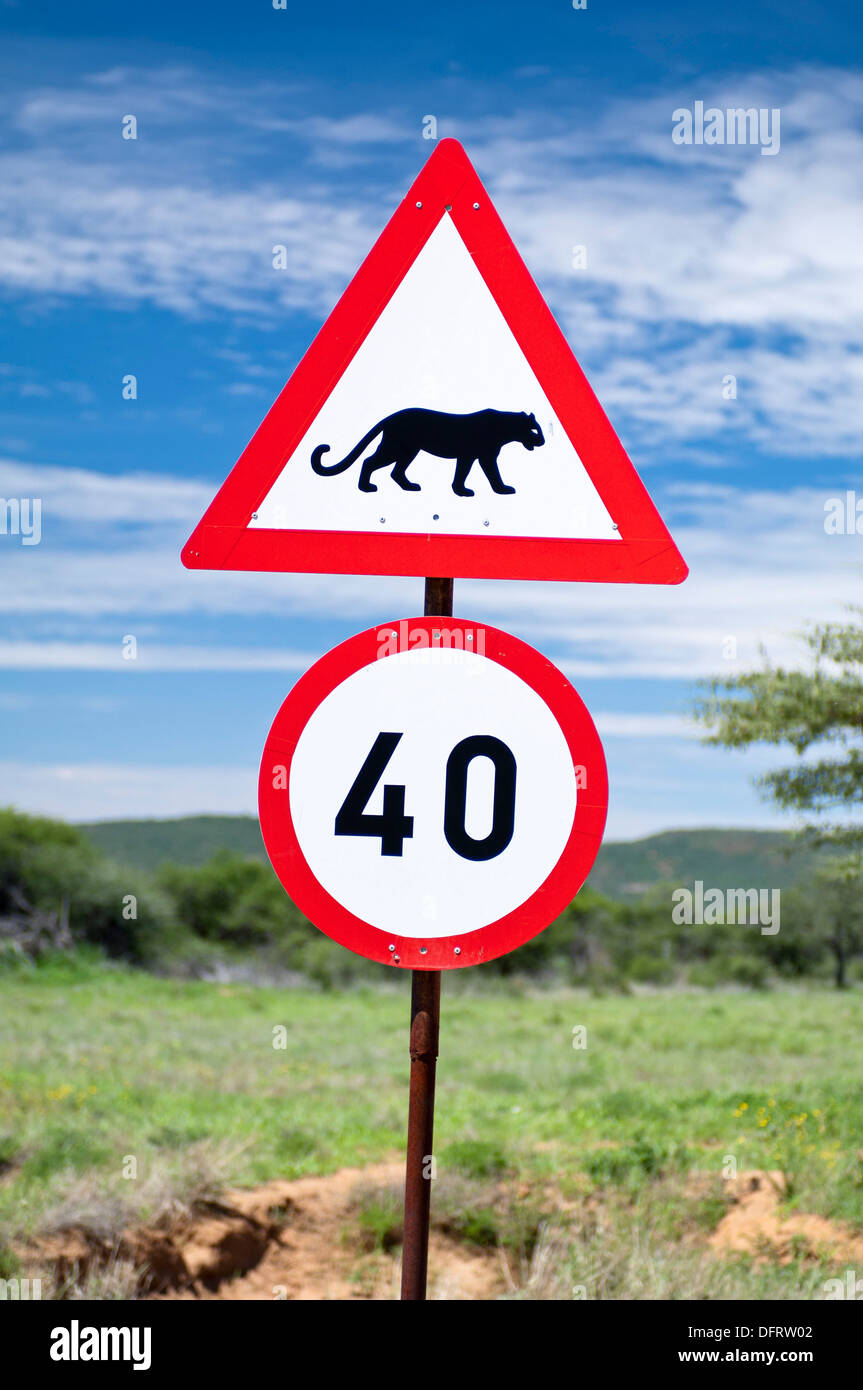 Panther crossing sign hi-res stock photography and images - Alamy