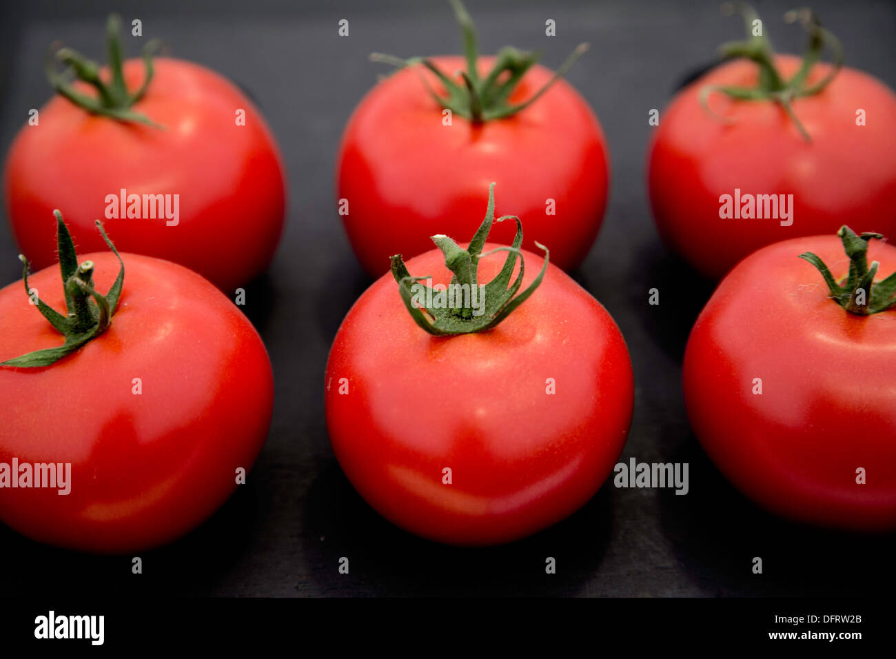 Tomatoes, England, UK Stock Photo - Alamy