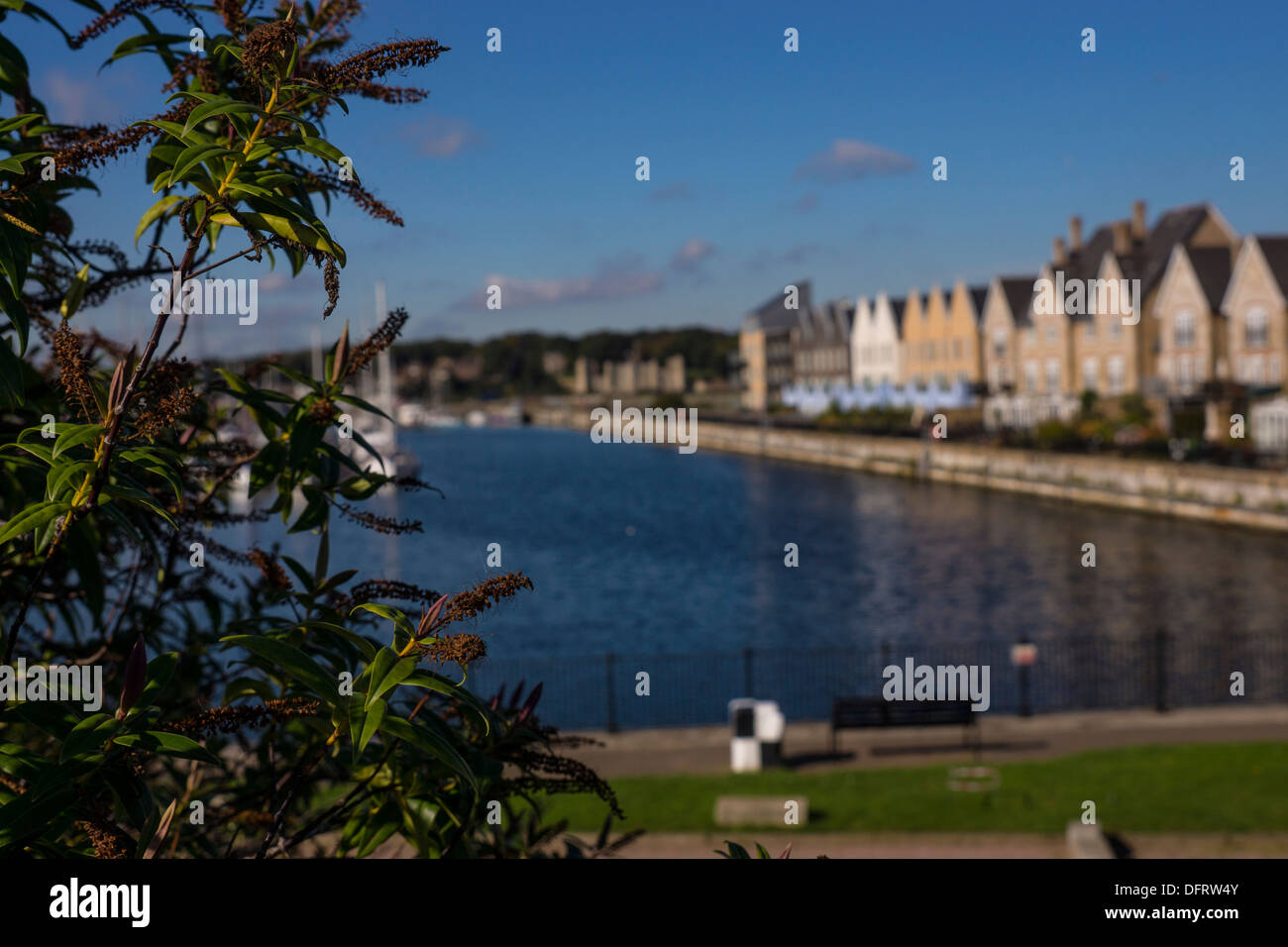 autumn harbour harbor plants clear sky boats Stock Photo - Alamy