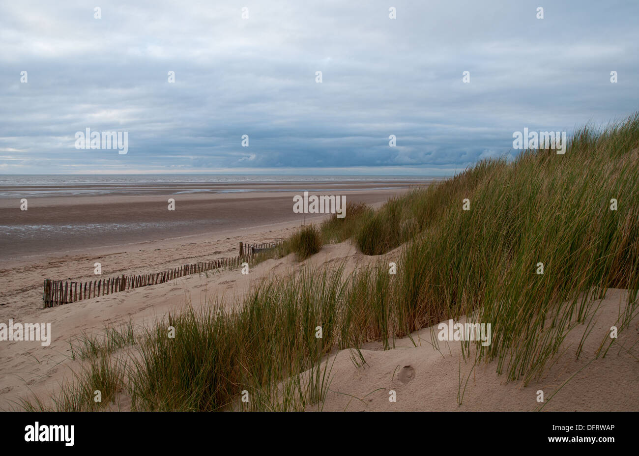 Sand Dunes, Lancashire Coast,UK Stock Photo - Alamy