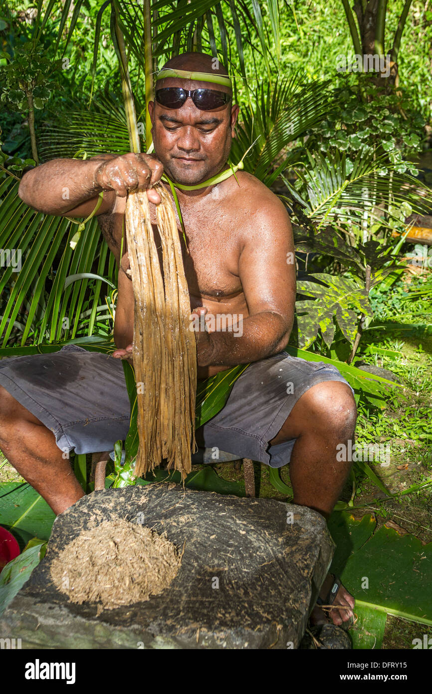 Local man straightens bamboo bark strips before straining kava (also ...