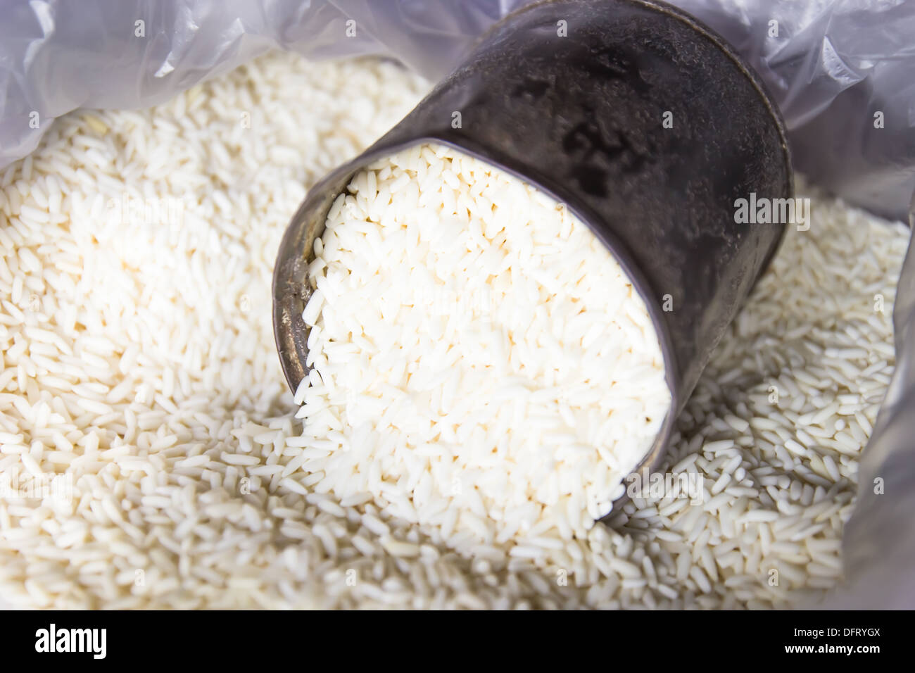 Rice plant tree hi-res stock photography and images - Alamy