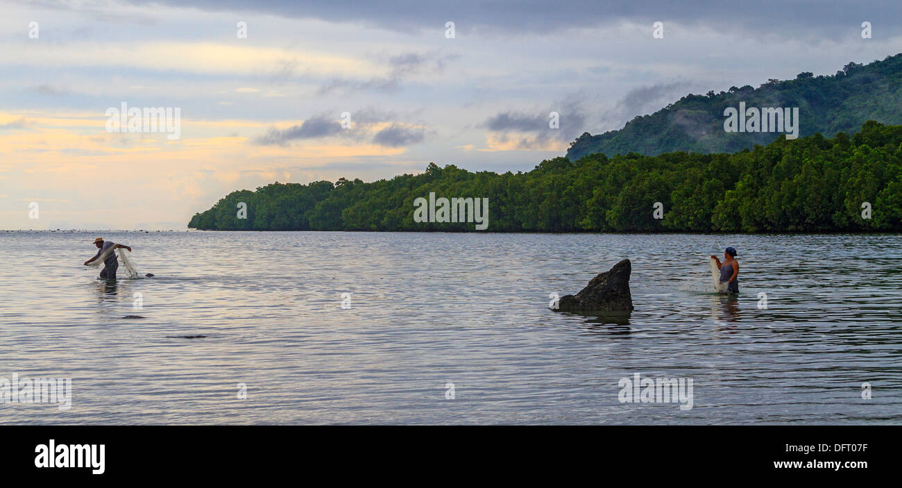 Fishing by net in shallow waters off the beach in Kosrae, Micronesia ...