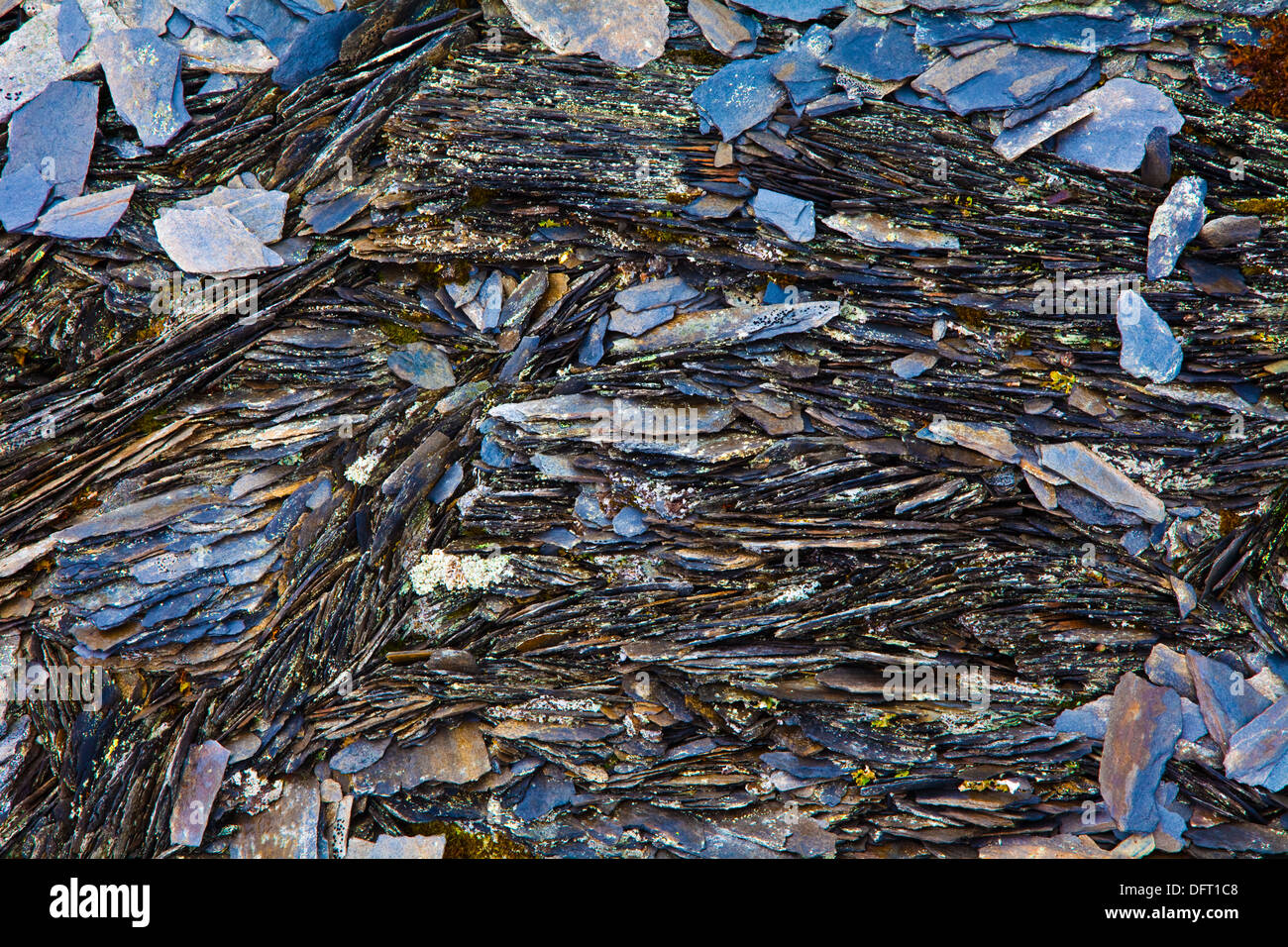 Fractured abstract pattern in Shale in the mountains of the Bugaboo ...