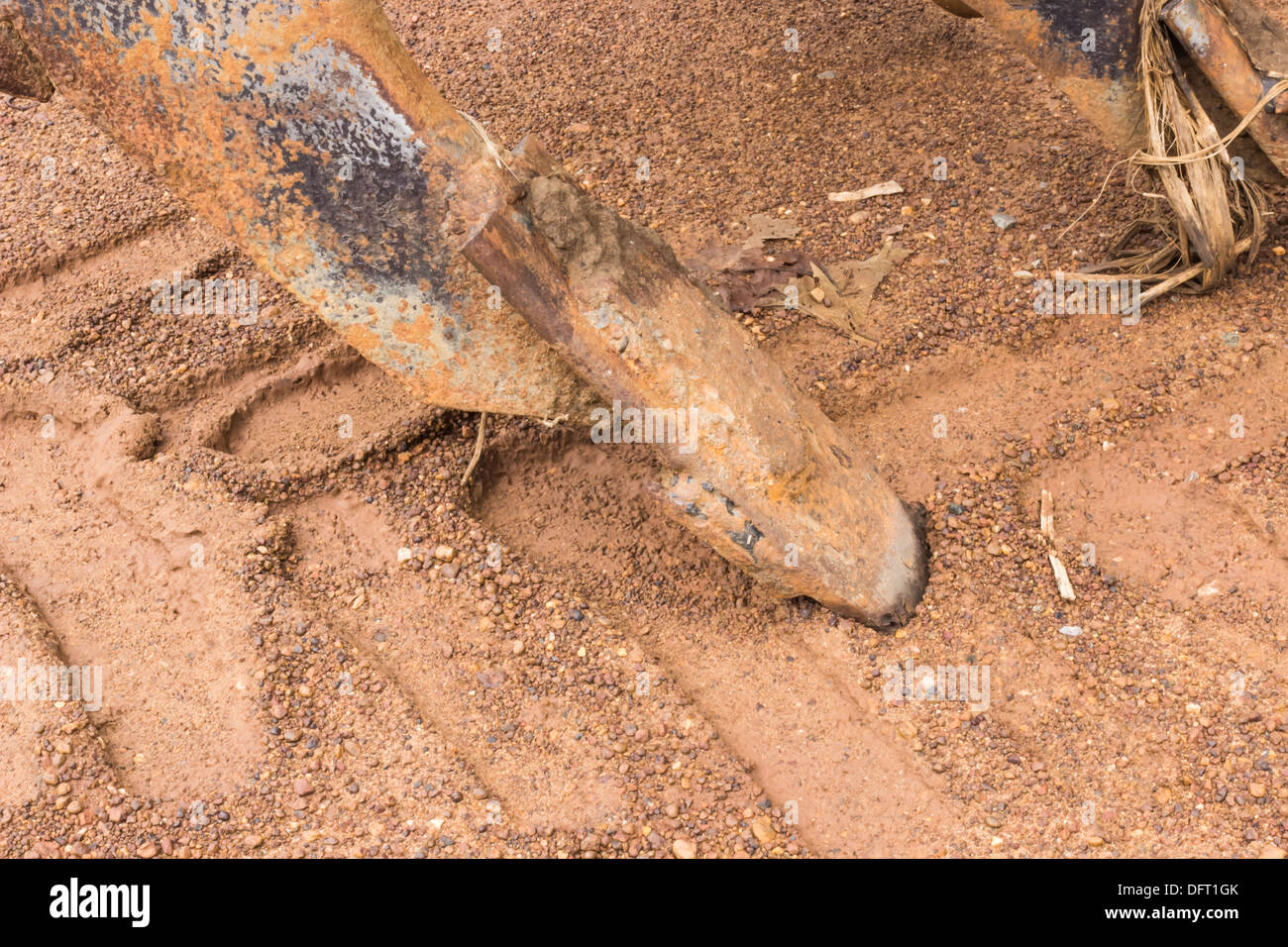 Sugarcane harvester hi-res stock photography and images - Alamy