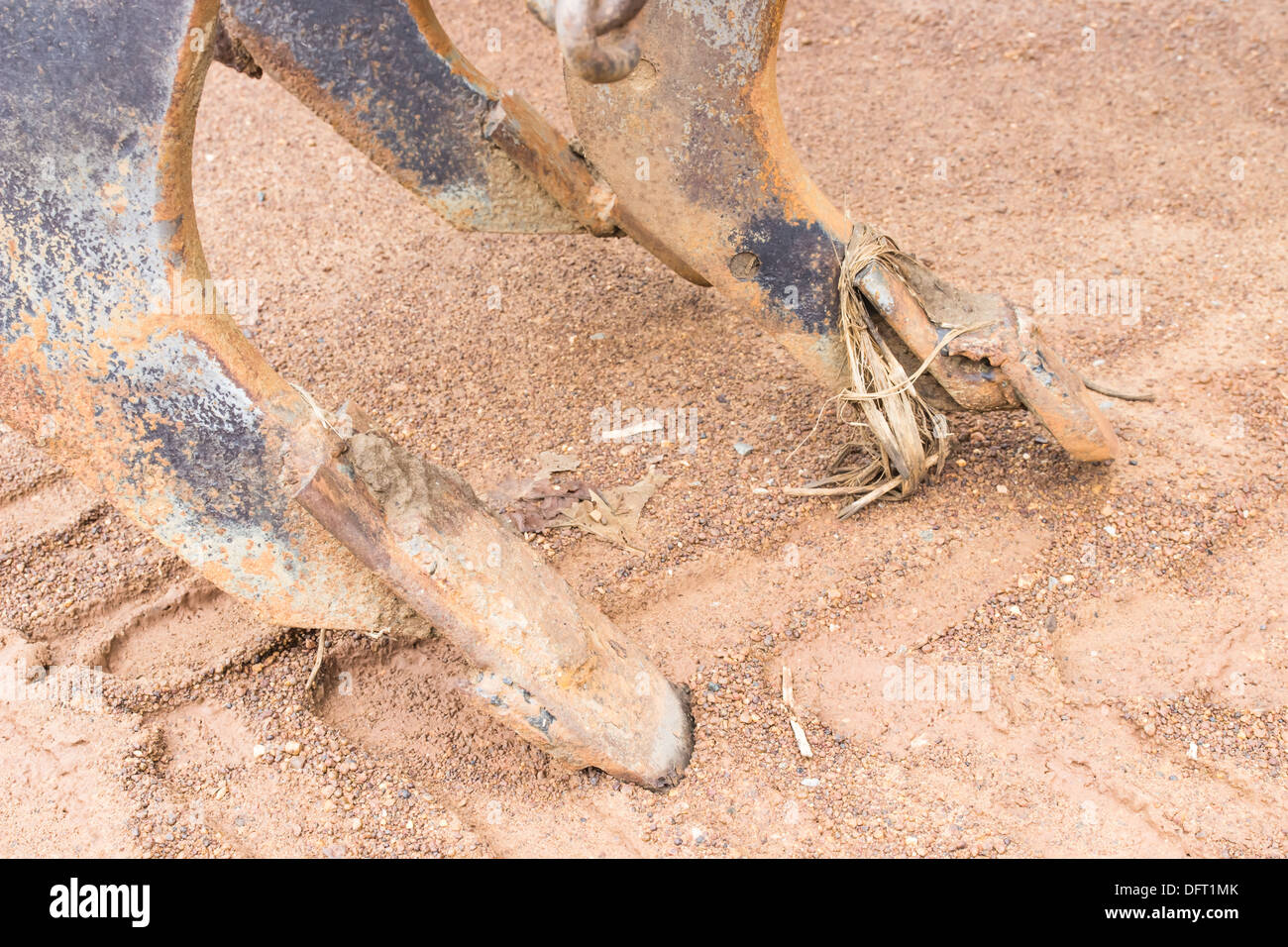 Sugarcane harvester hi-res stock photography and images - Alamy