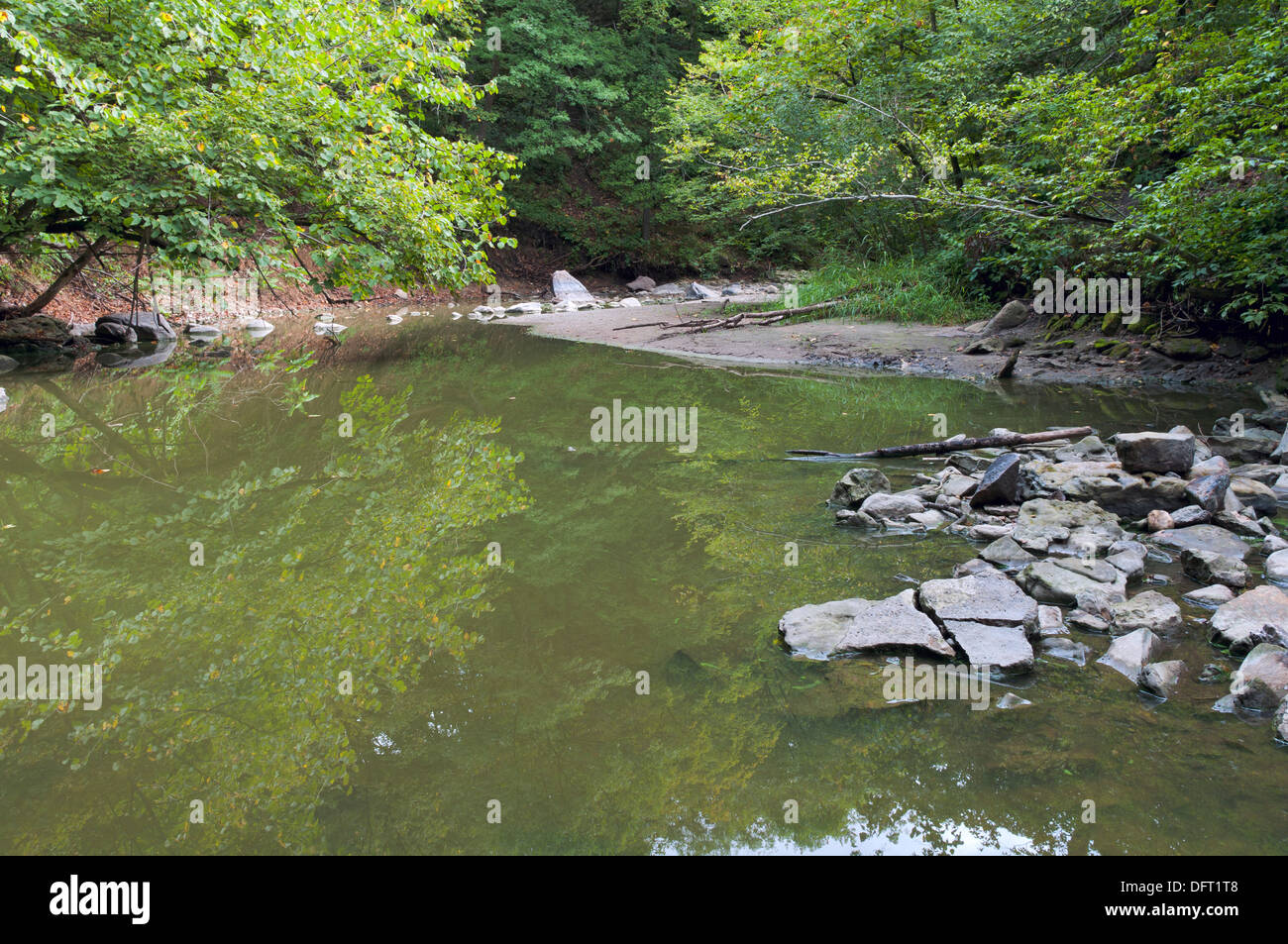 Minneopa Creek and forest in Minneopa State Park near Mankato Minnesota ...