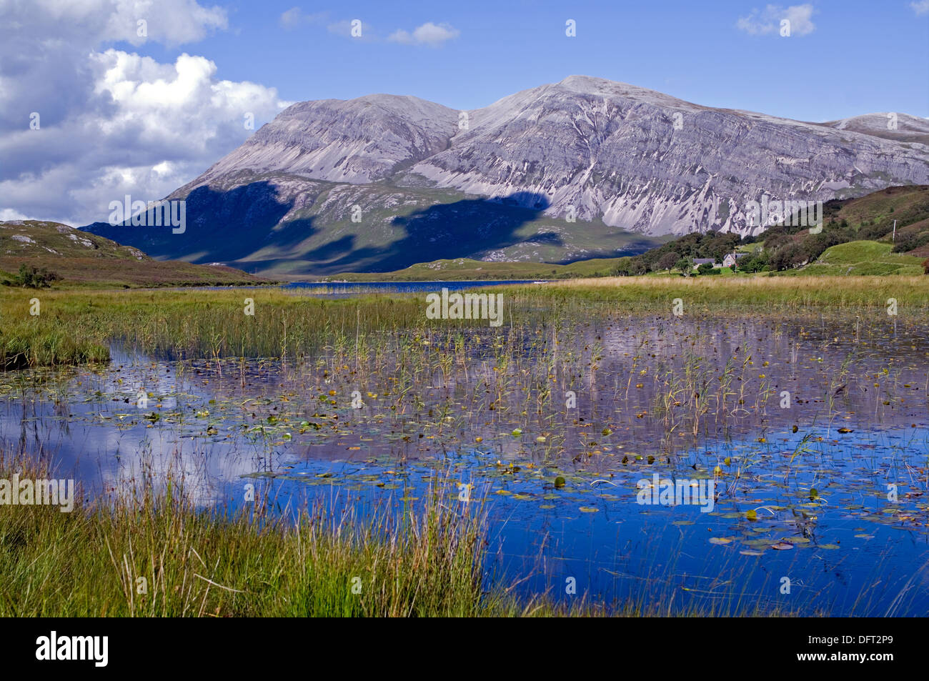 Arkle reflected in Loch Stack, by Achfary, Reay Forest Estate ...