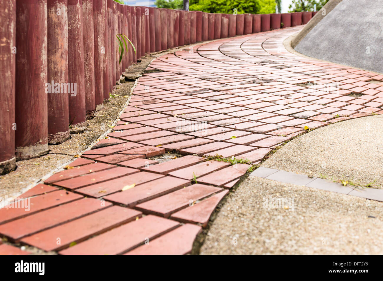 Sidewalk Curving walk from Paving Stones and wood walls garden Stock ...