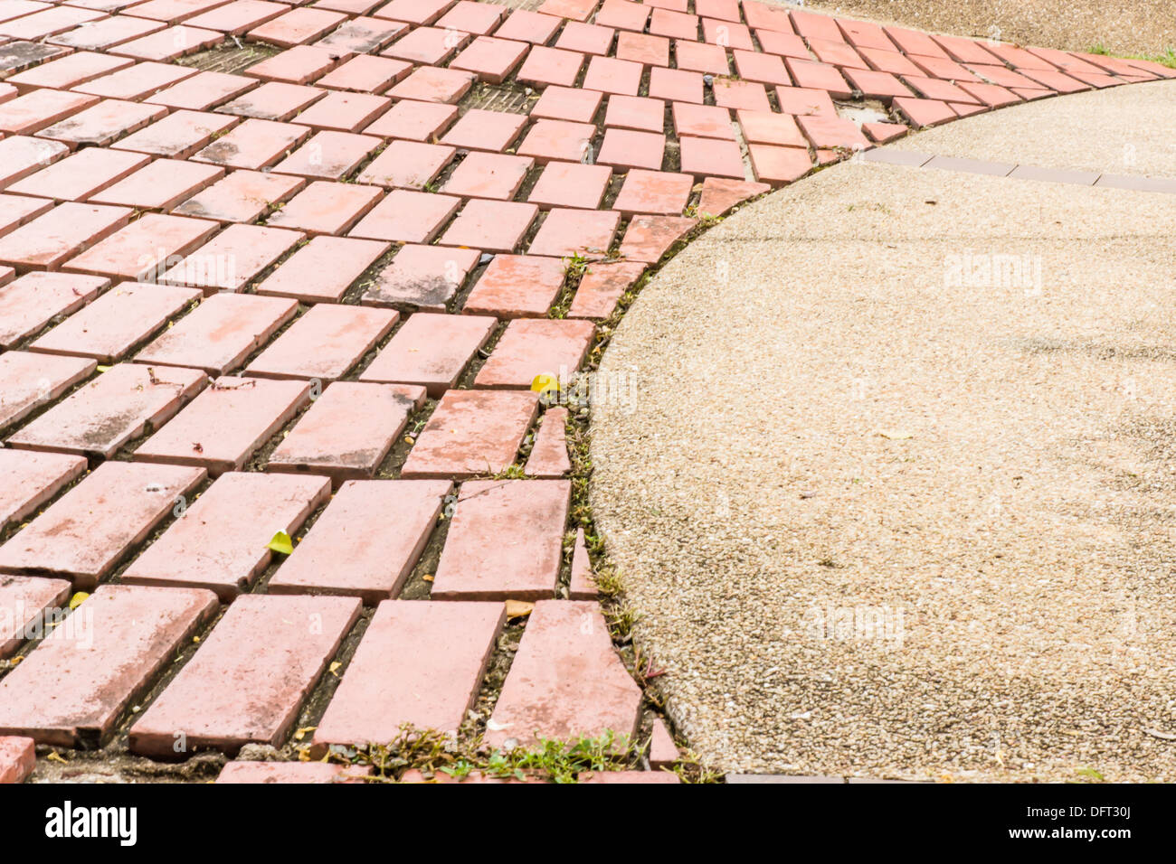 Sidewalk Curving walk from Paving Stones and wood walls garden Stock ...